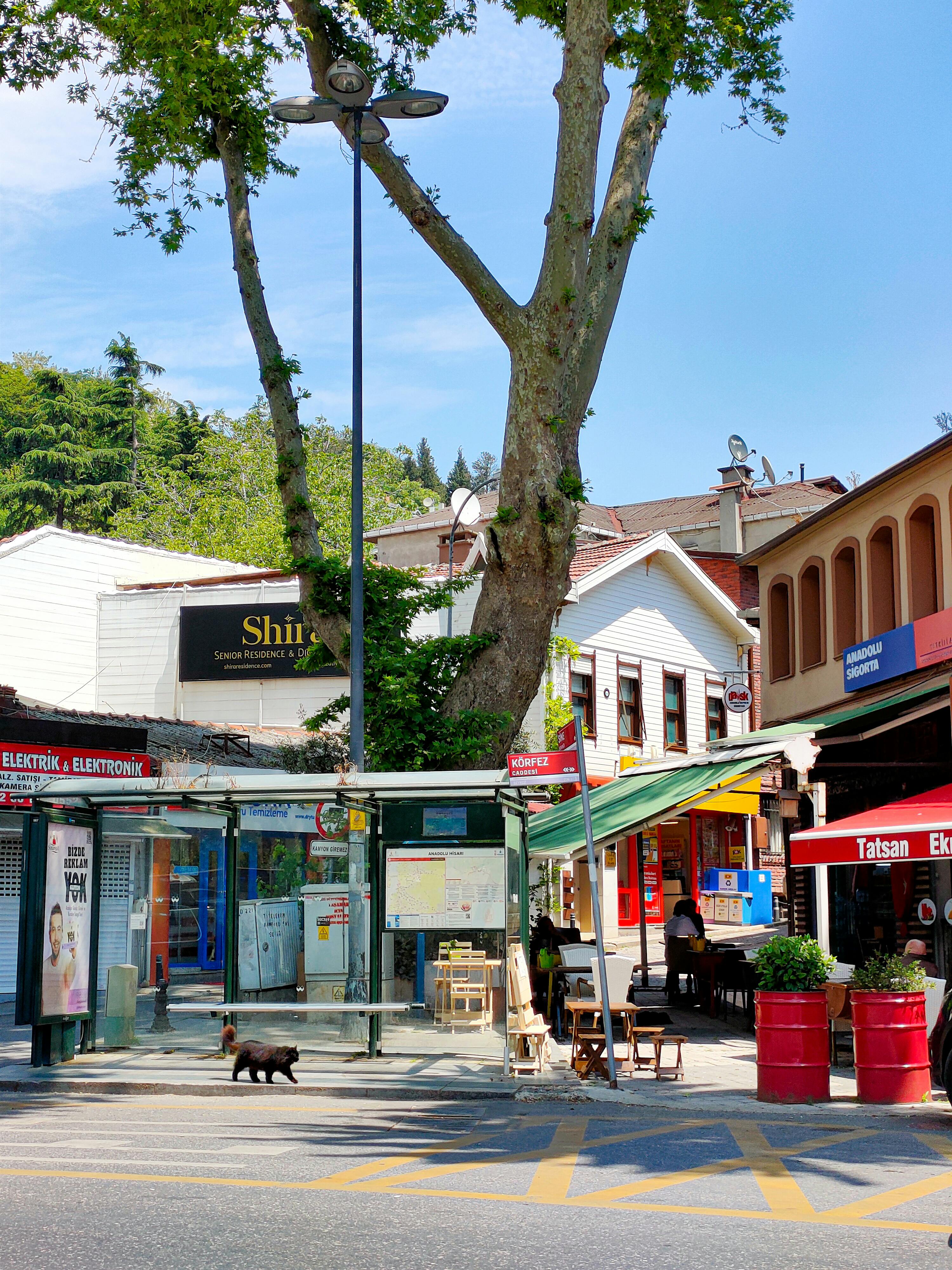 Lower Station of the Tbilisi Funicular Building Facade · Free Stock Photo