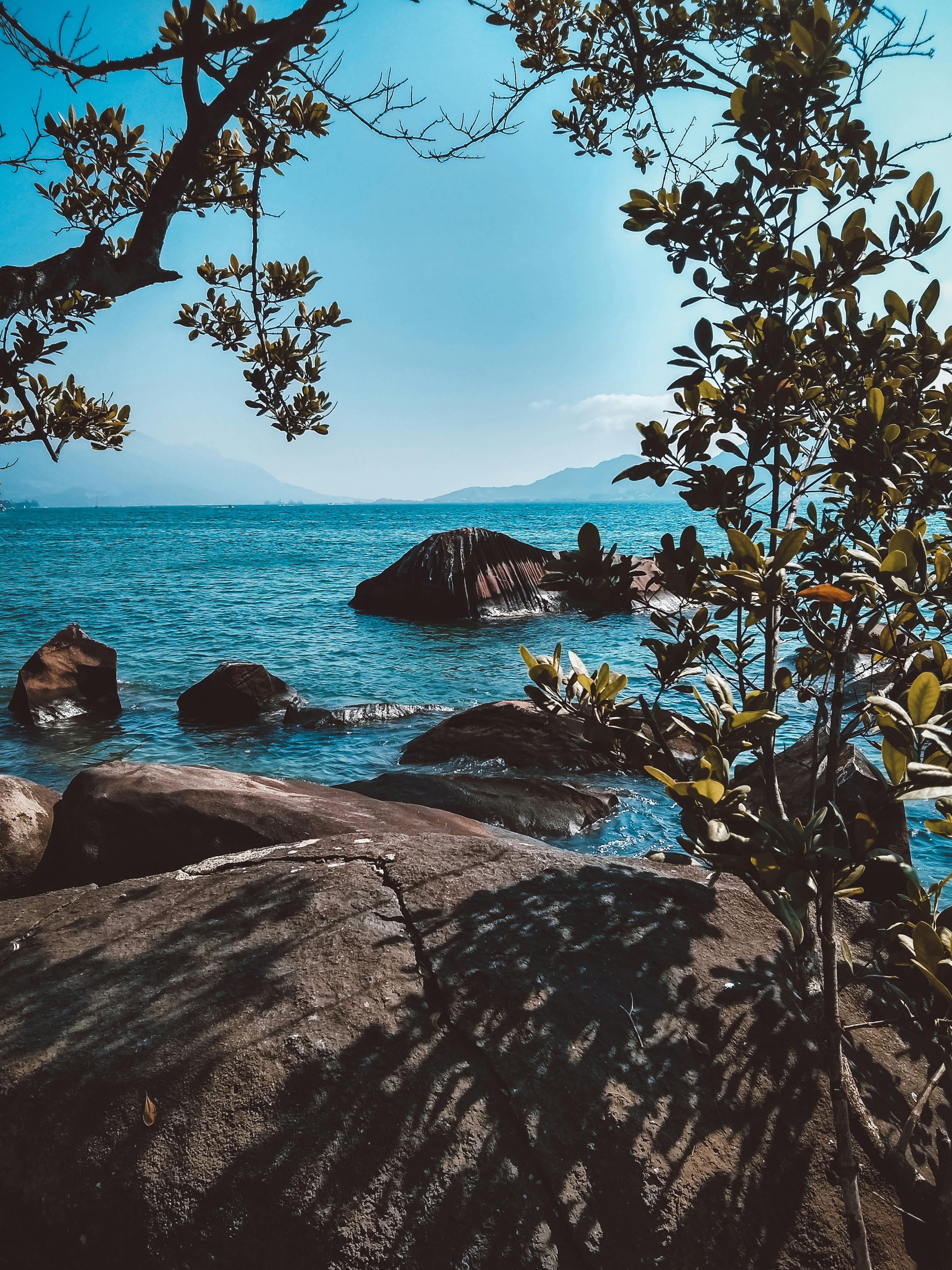 Free stock photo from Bruno · Pexels