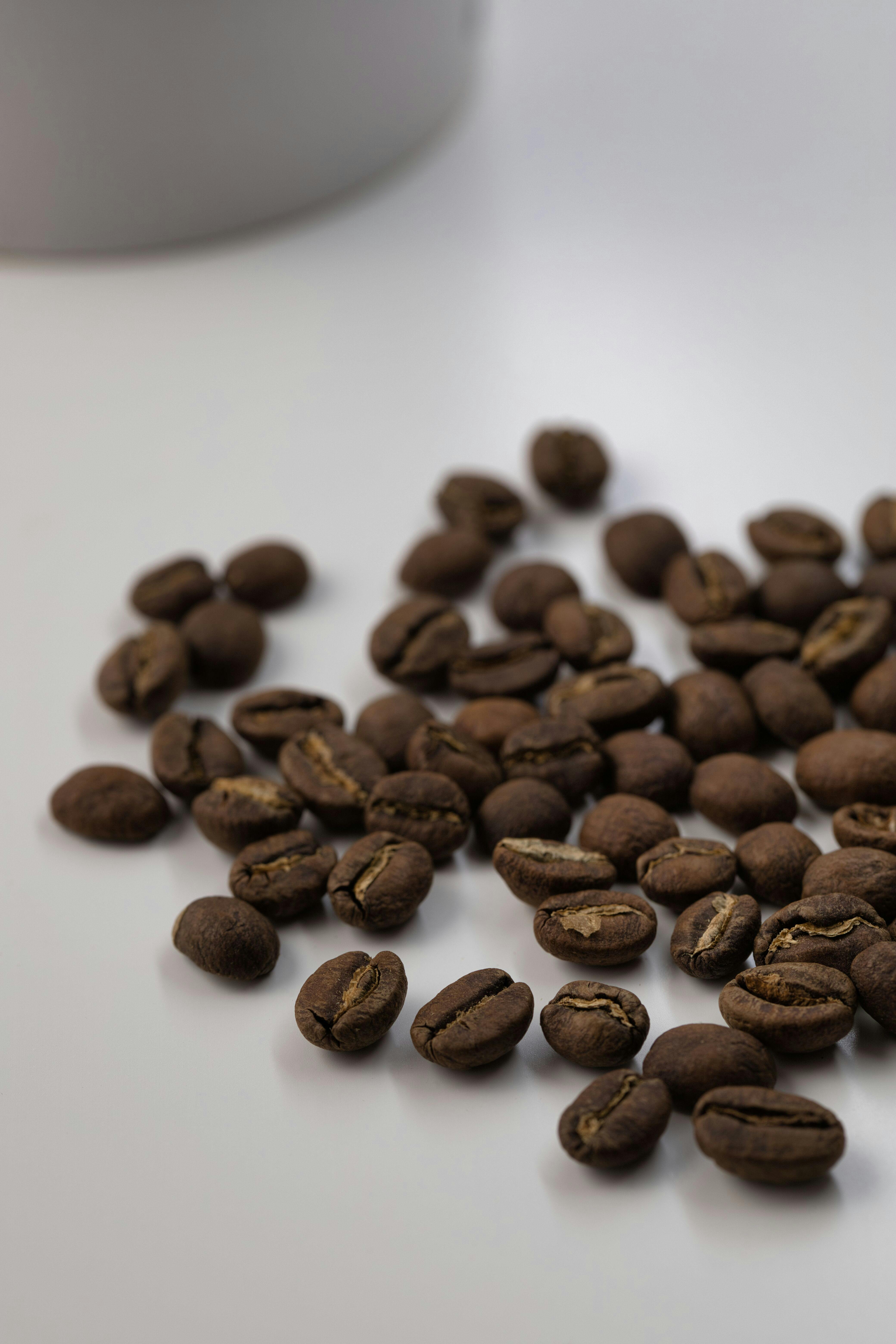 Coffe Beans Photos, Download The BEST Free Coffe Beans Stock Photos ...