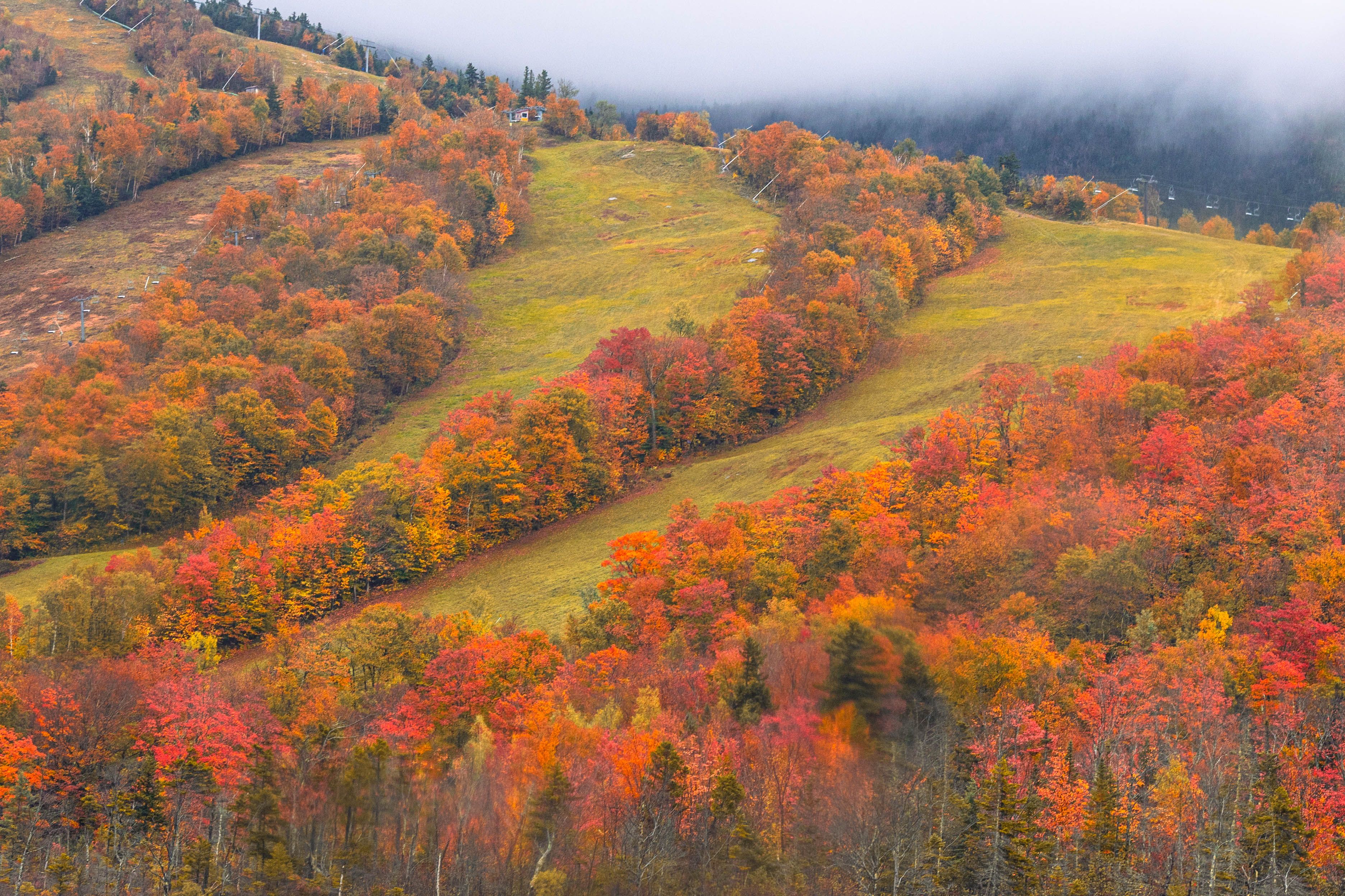 Colorful Forest in Autumn · Free Stock Photo