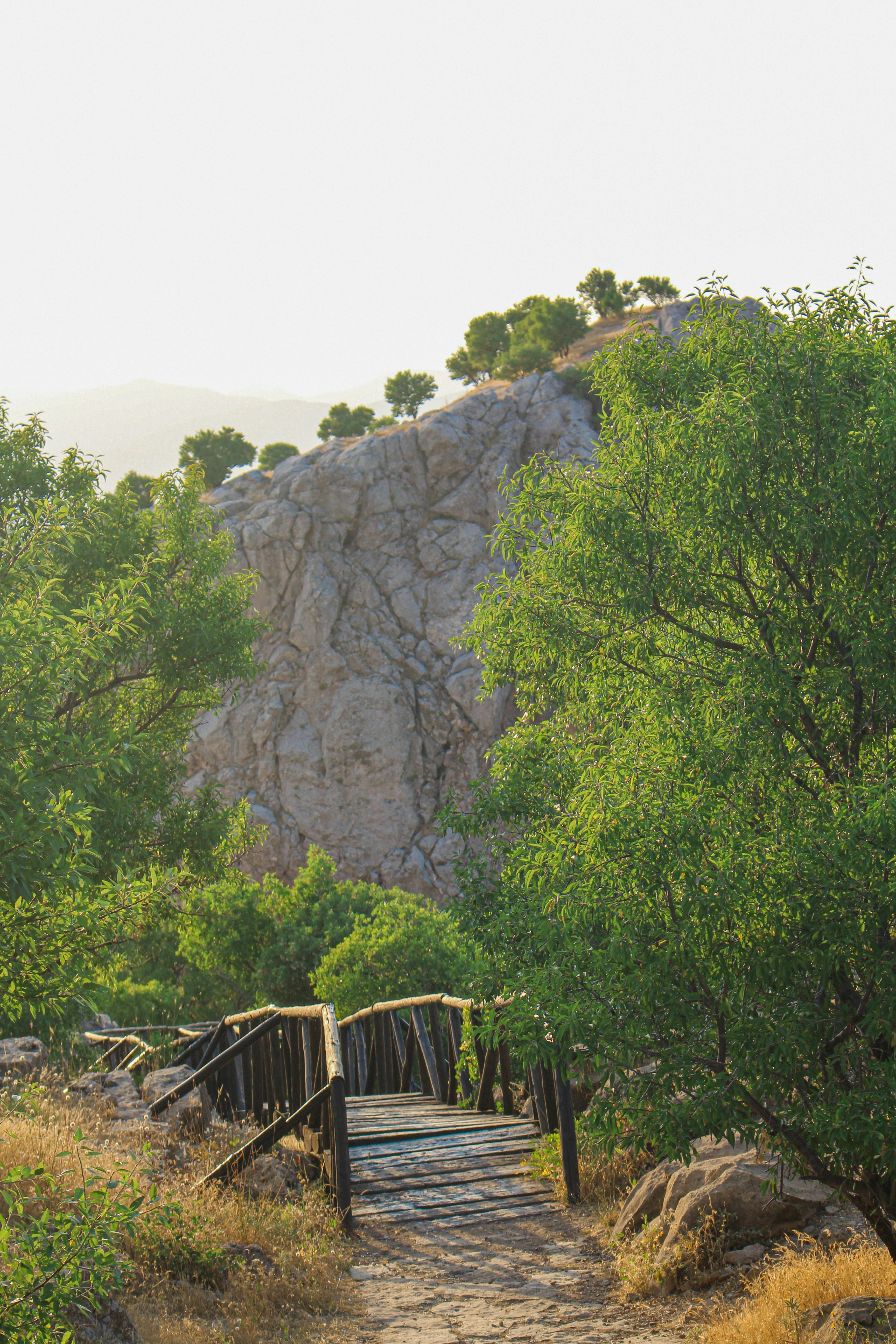Wooden Bridge in Mountains · Free Stock Photo
