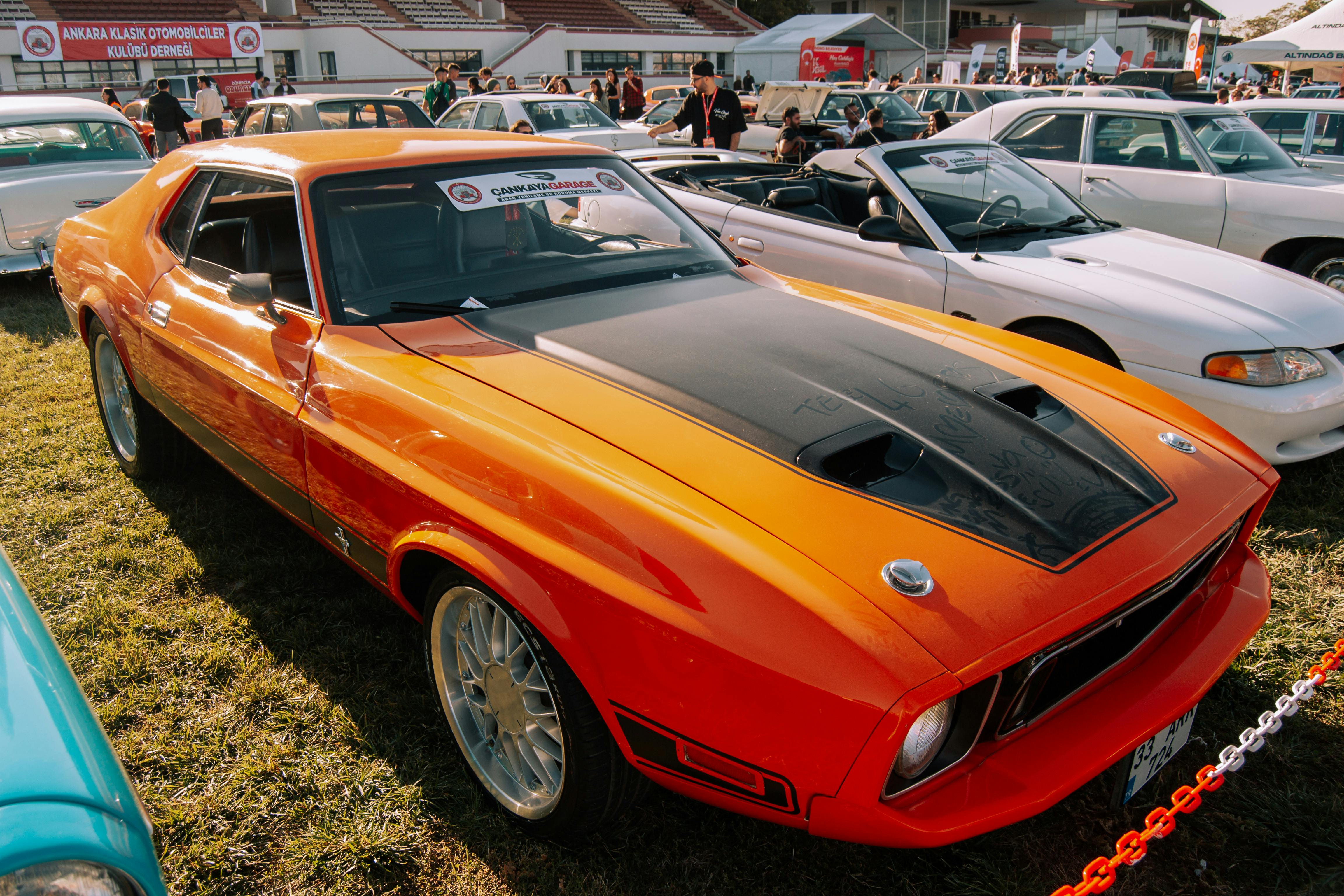 Ford Mustang at Outdoor Car Show Event · Free Stock Photo