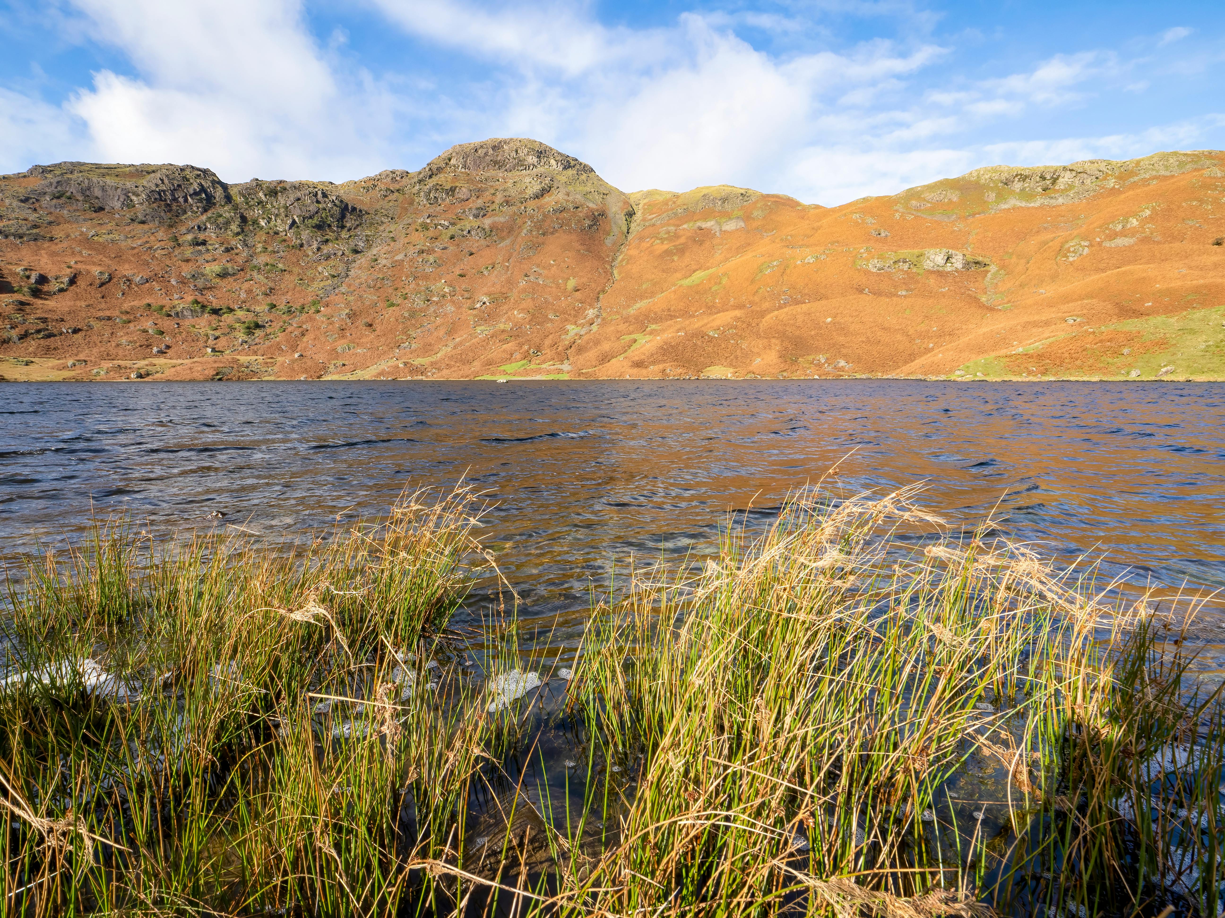 Undulating Surface of a Lake in the Mountains · Free Stock Photo