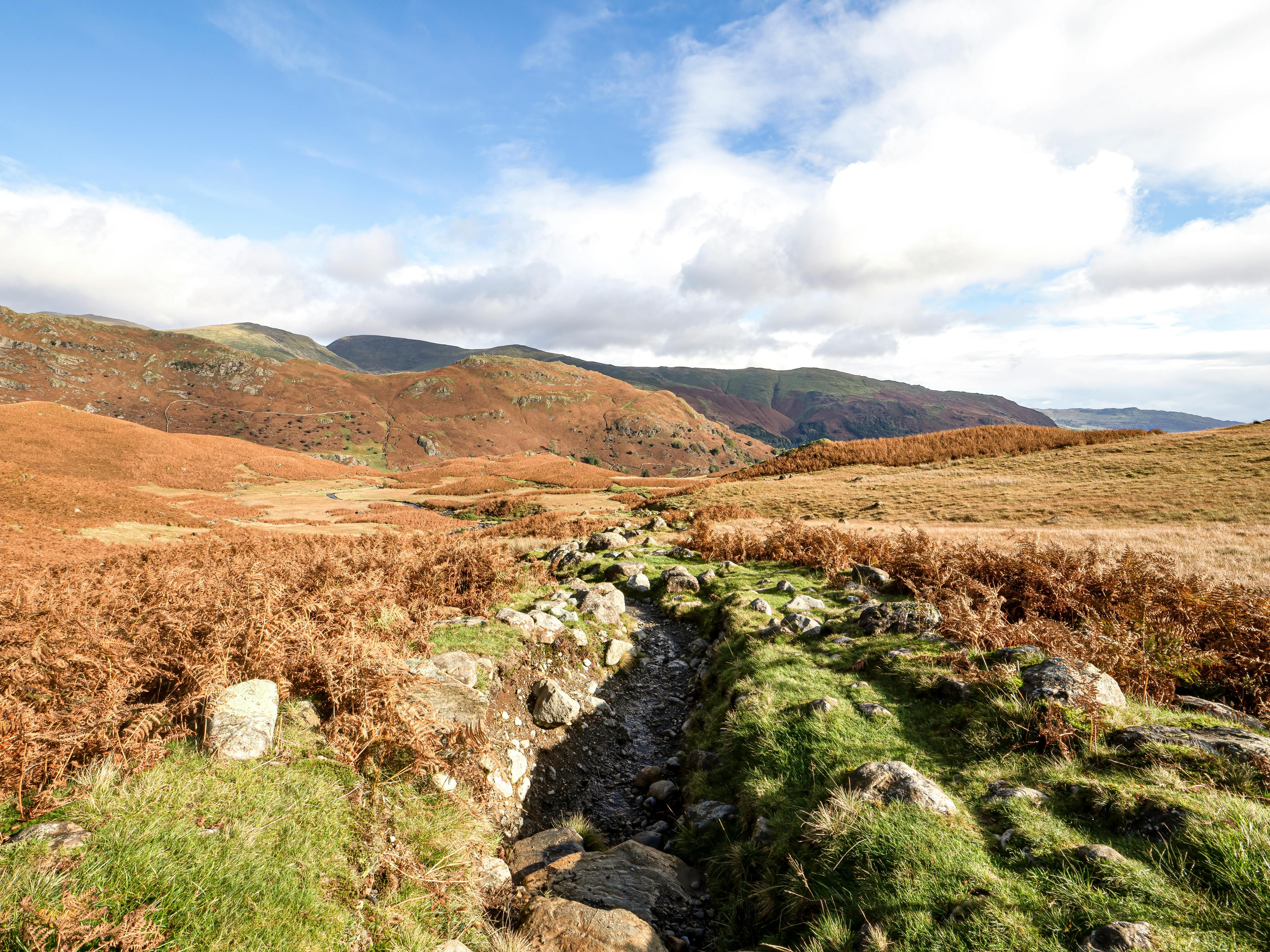Grassy Mountain Landscape · Free Stock Photo