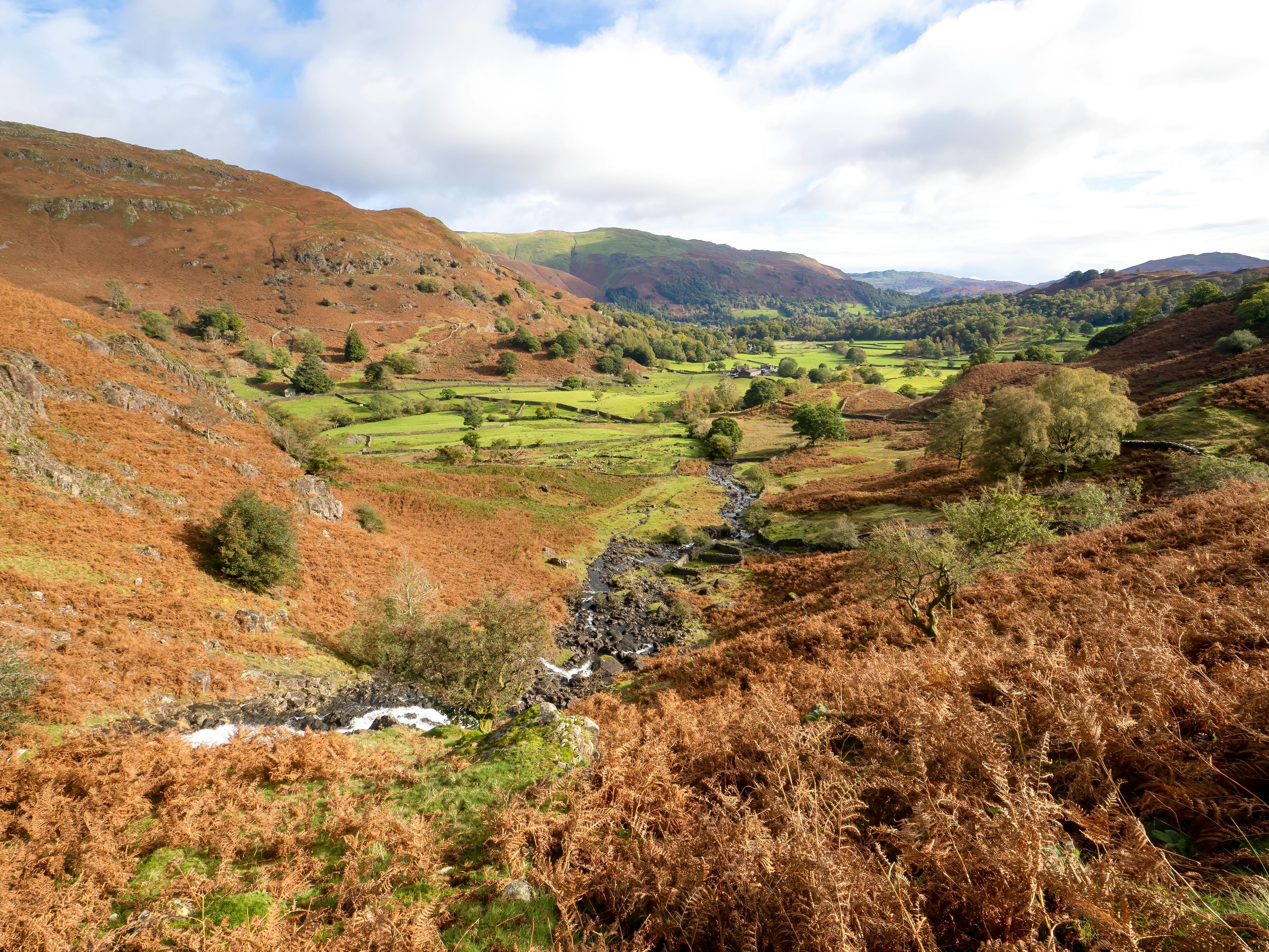 Stream in Countryside · Free Stock Photo