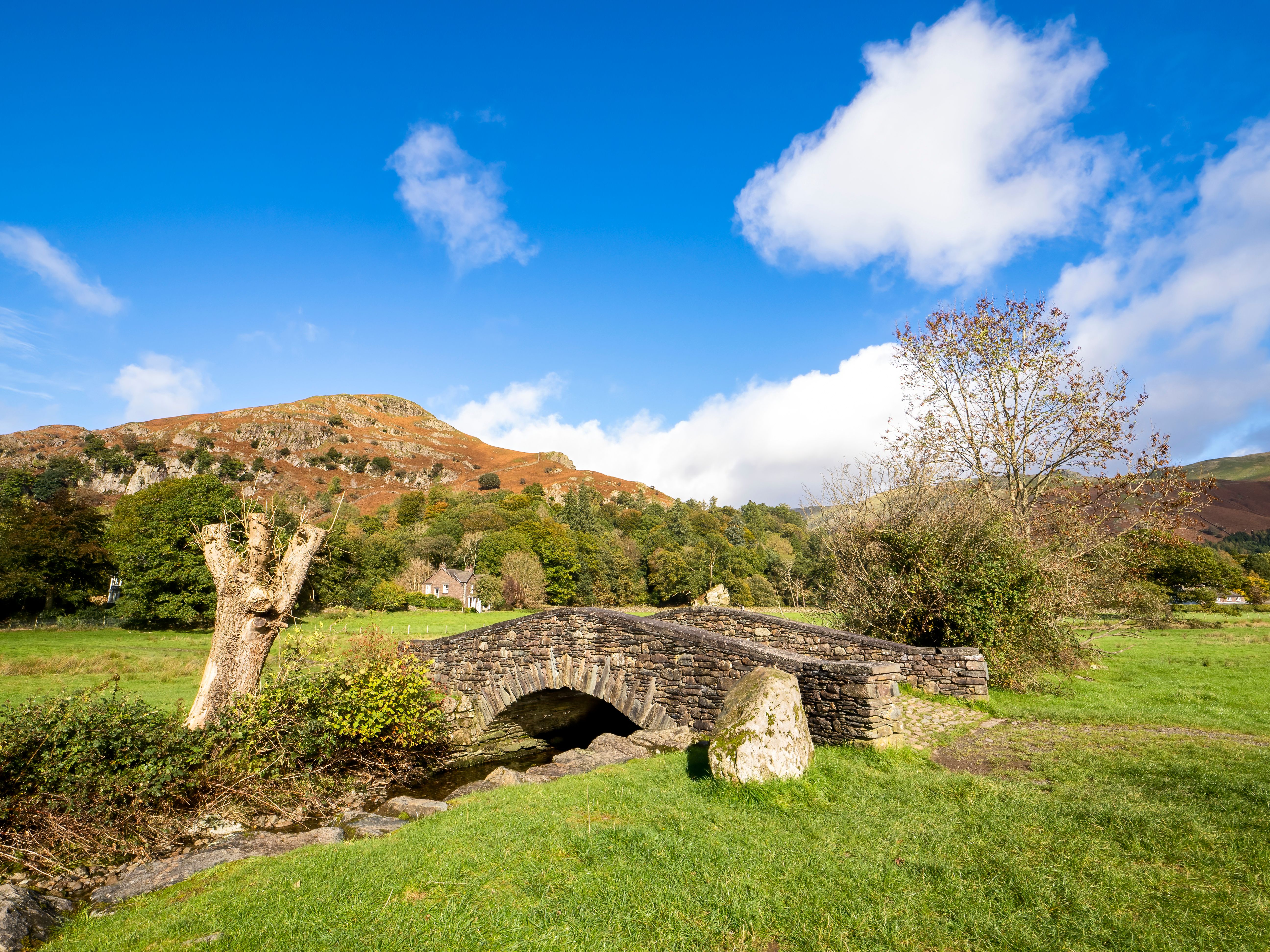 Stone Footbridge over a Stream · Free Stock Photo
