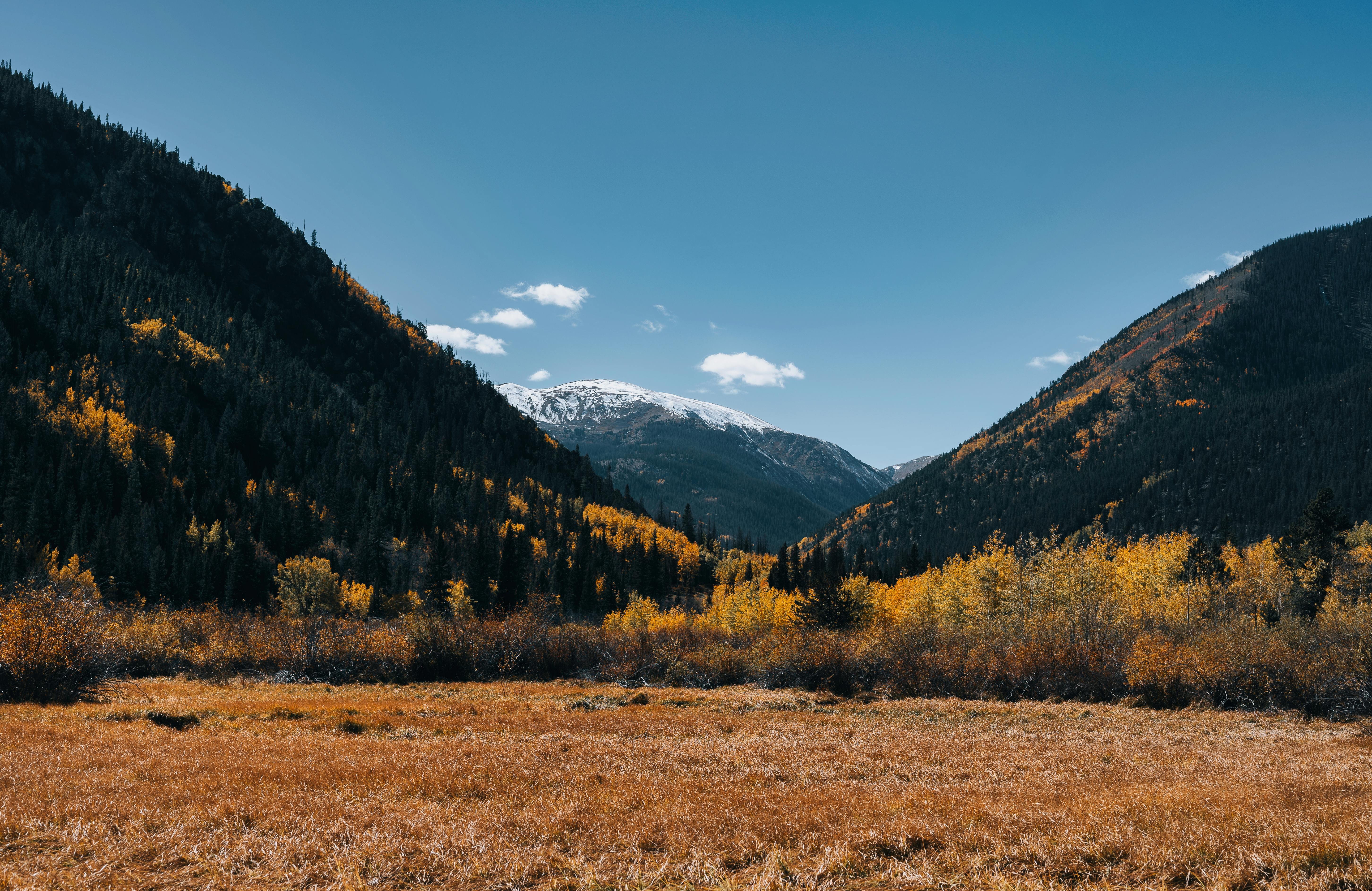 Mountain Valley Landscape in Autumn · Free Stock Photo