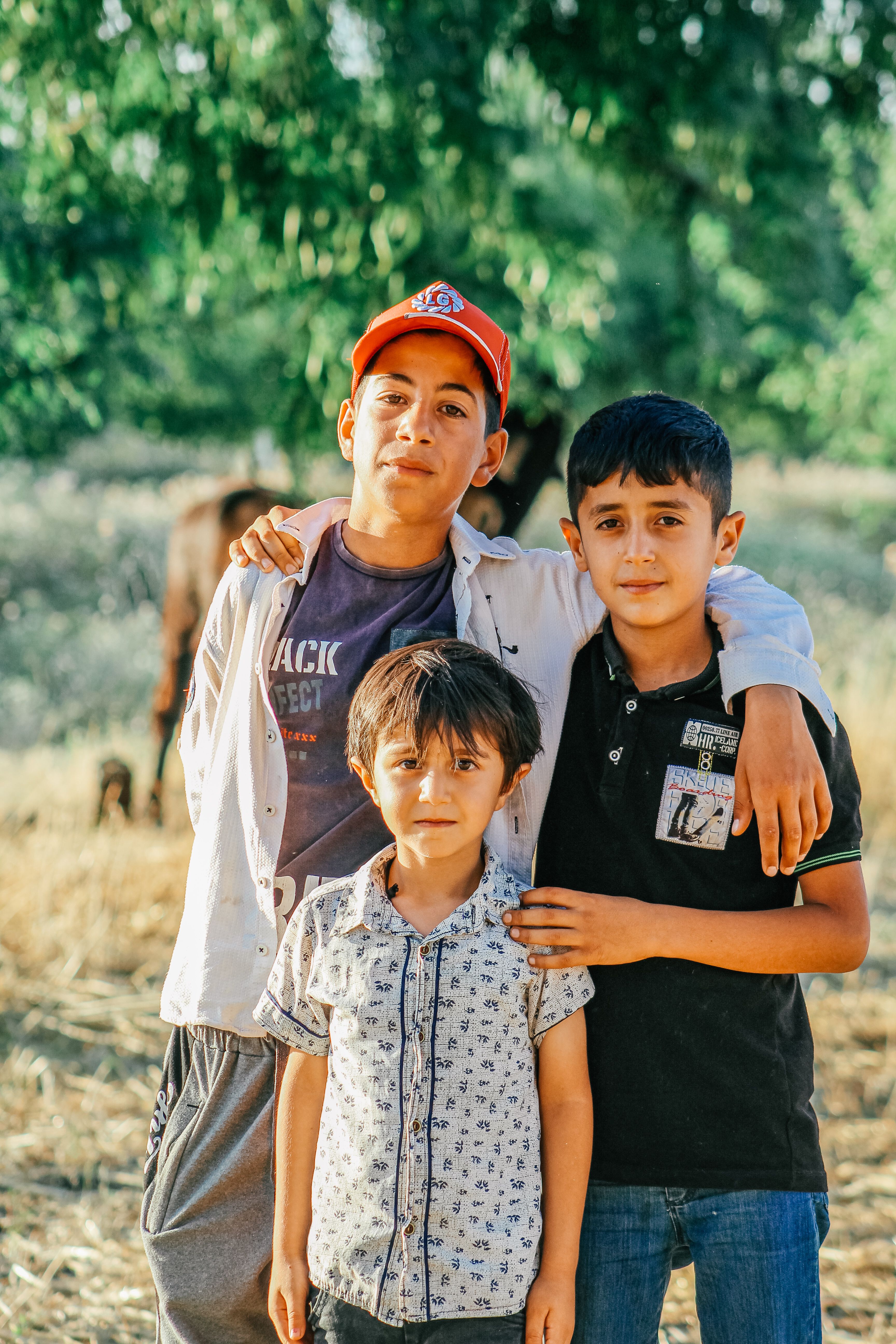 Smiling Boys Posing Together · Free Stock Photo