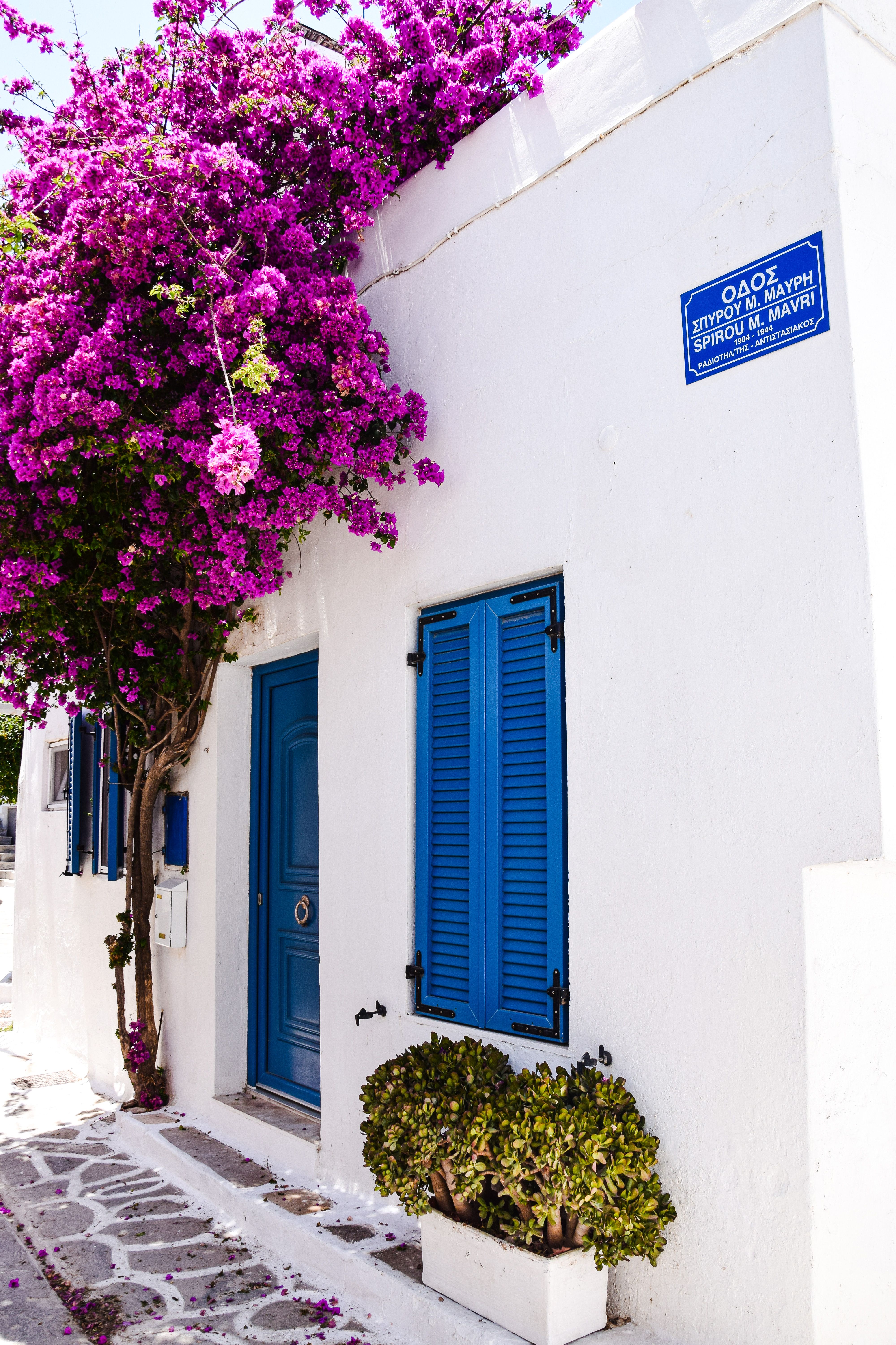 Purple Blossoms on Tree by Building Wall in Town in Greece · Free Stock ...