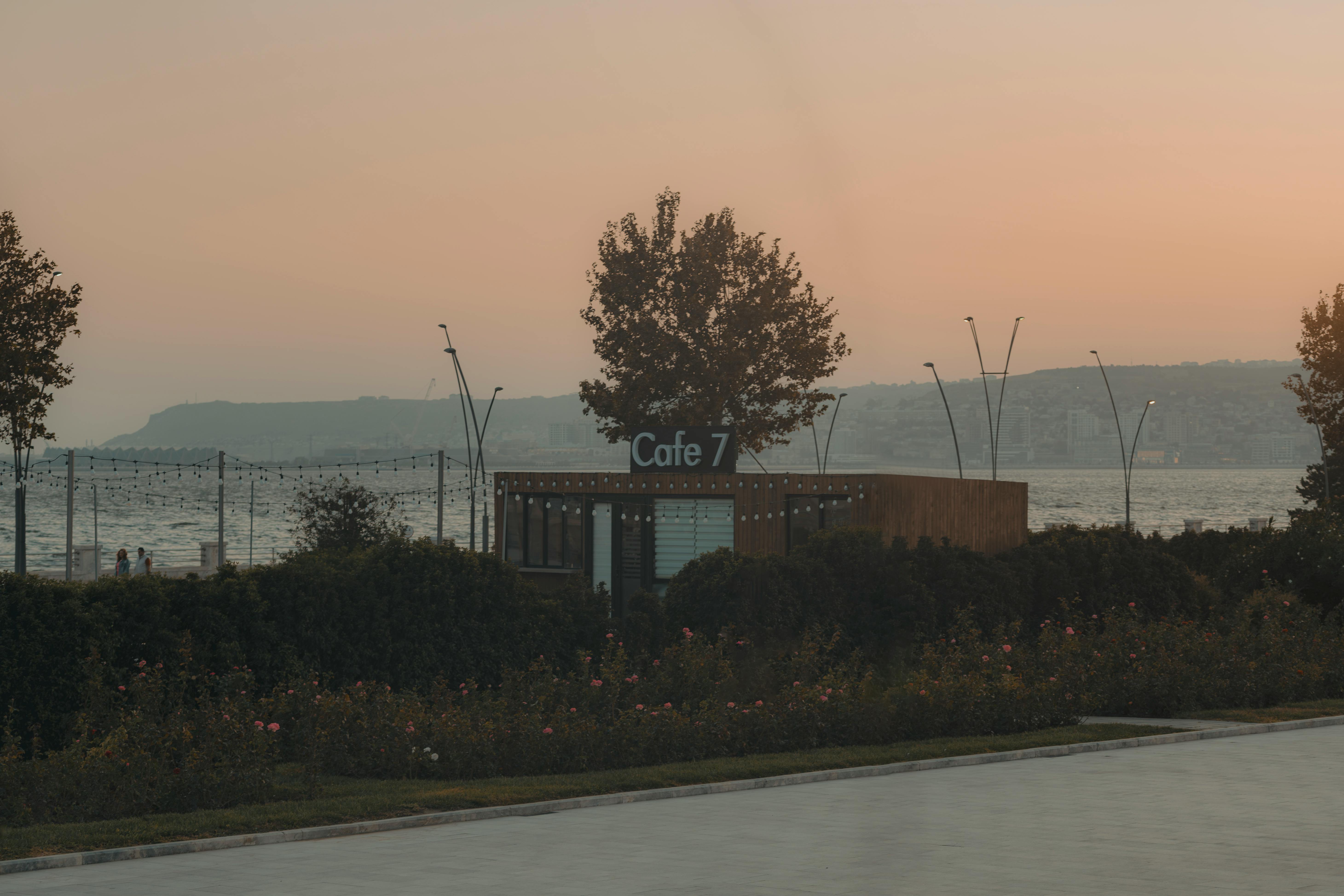 Tasas Cafe Photos, Download The BEST Free Tasas Cafe Stock Photos & HD ...