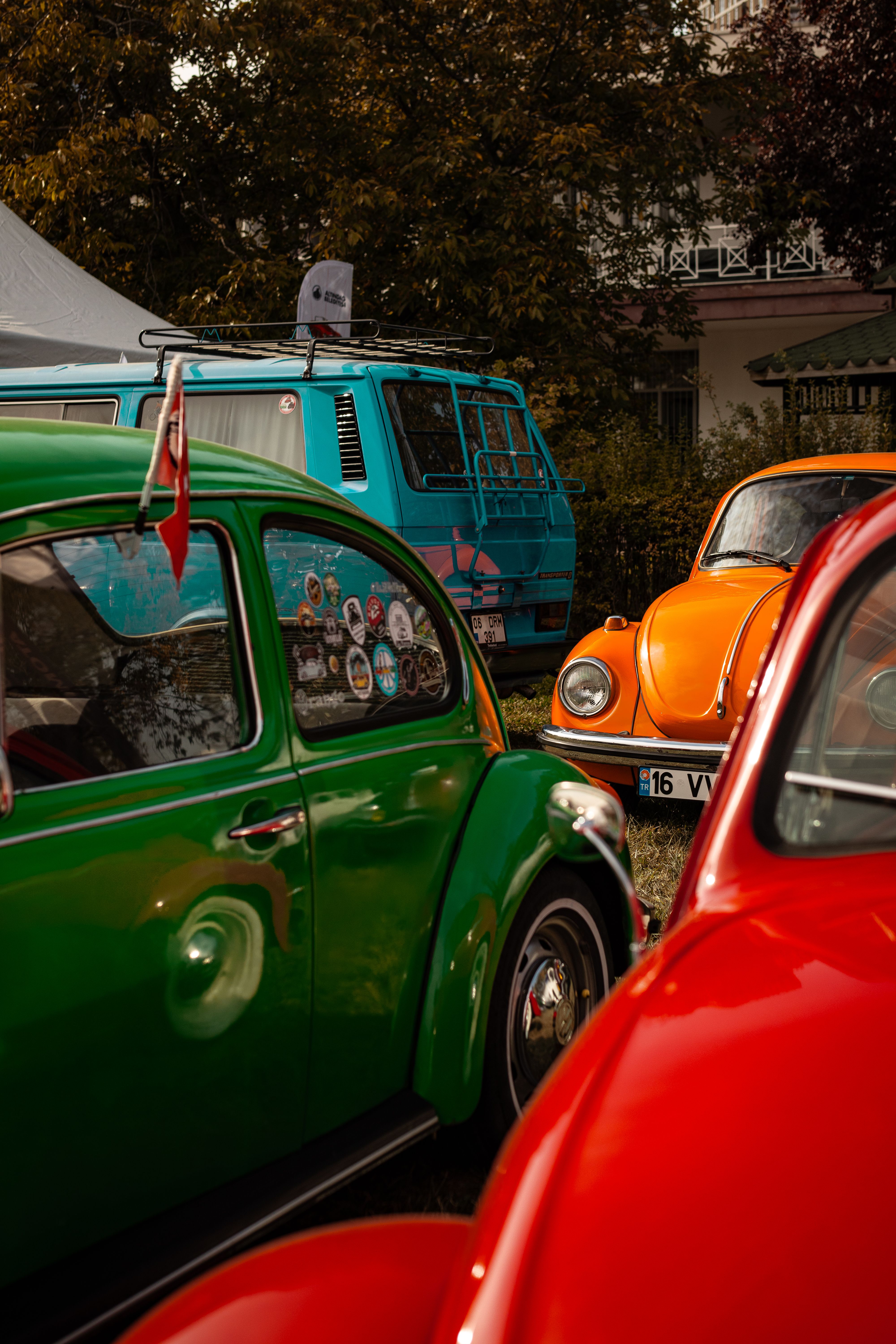Colorful Volkswagen Beetle Cars · Free Stock Photo