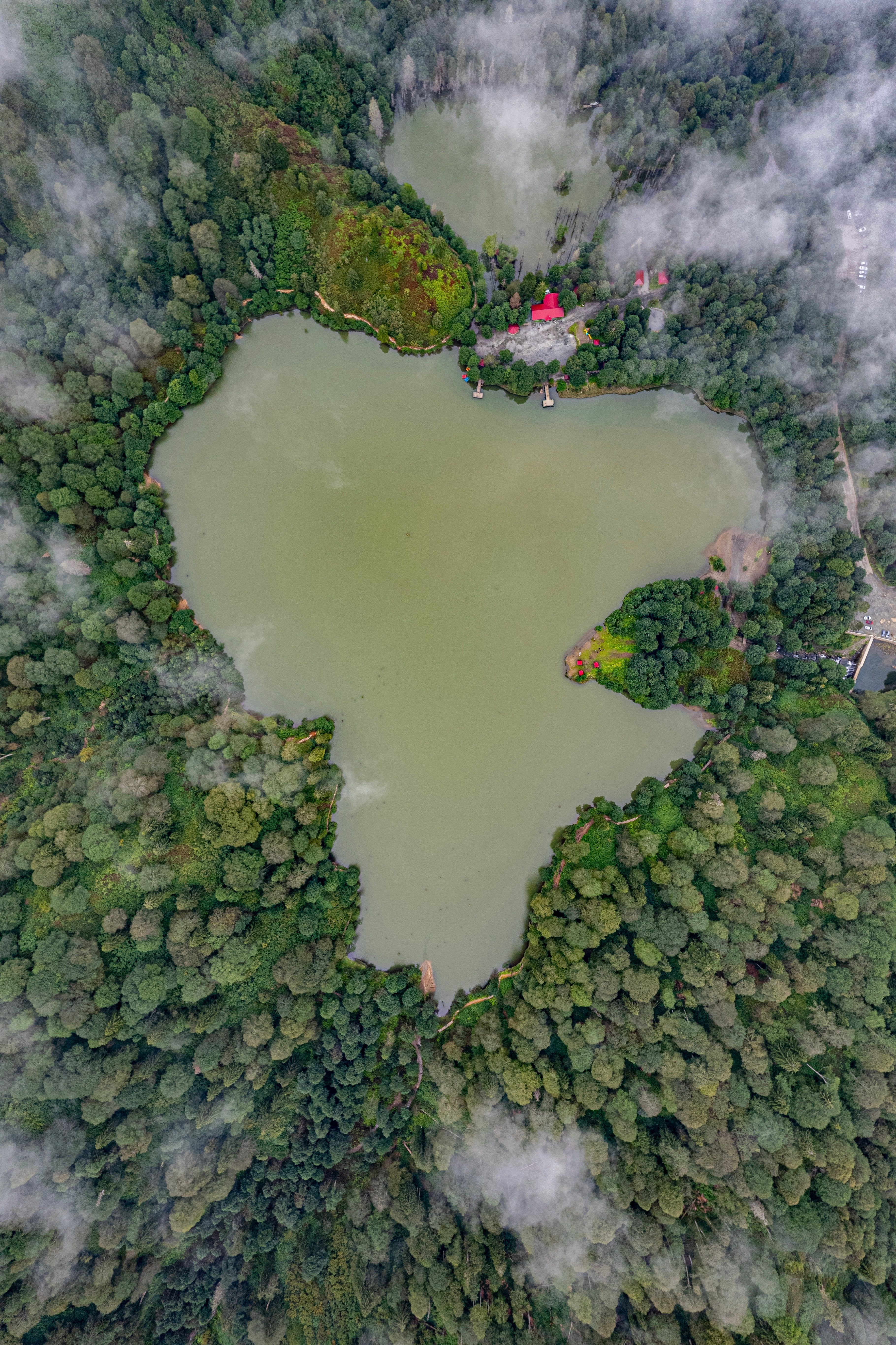 Top View of a Lake Surrounded by Trees · Free Stock Photo