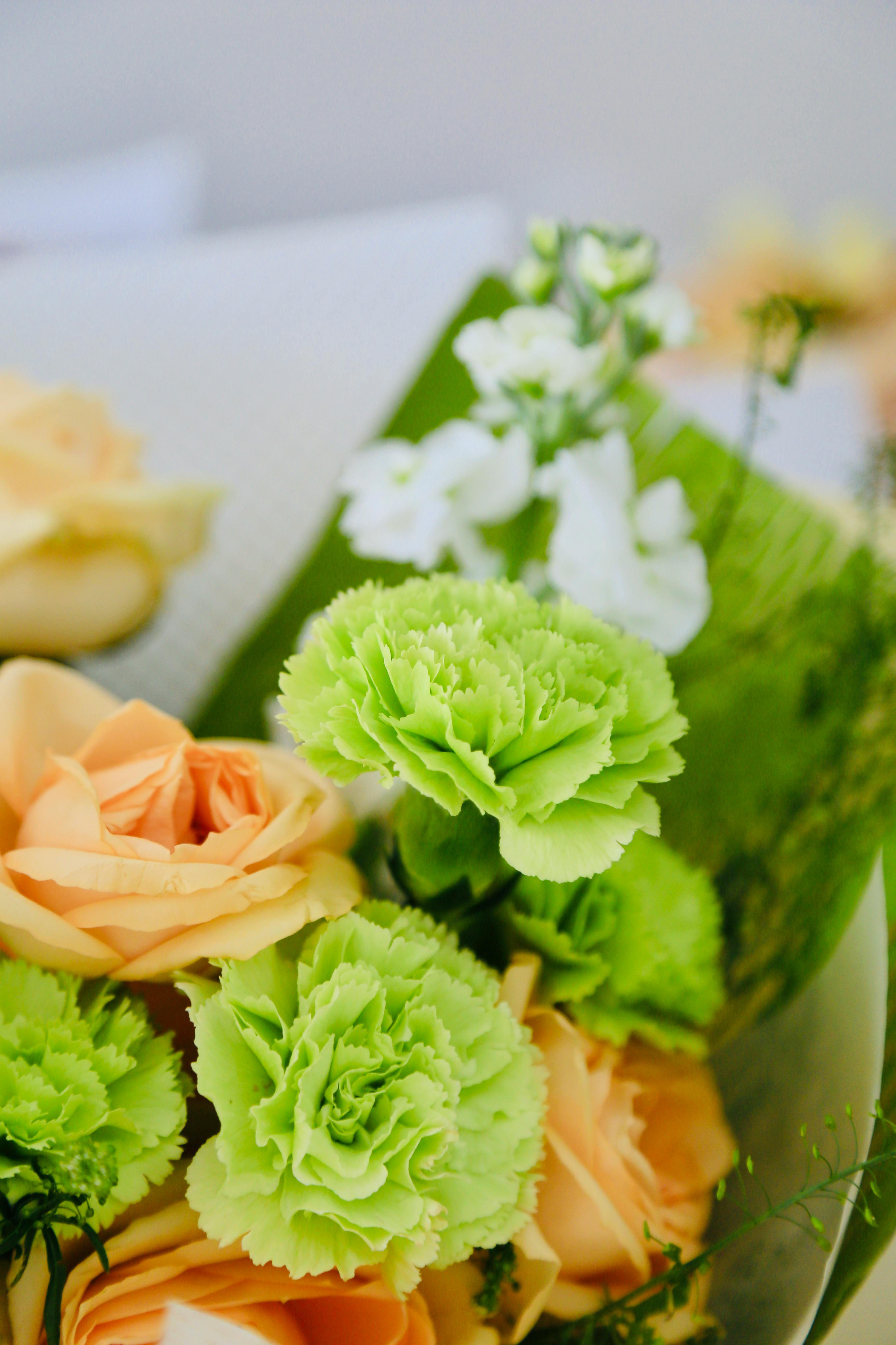 Arrangement Photos, Download The BEST Free Arrangement Stock Photos ...