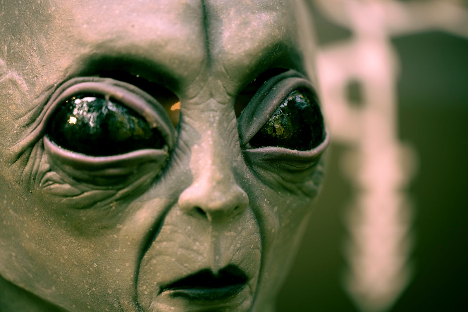 Alien Face Photos, Download The BEST Free Alien Face Stock Photos & HD ...