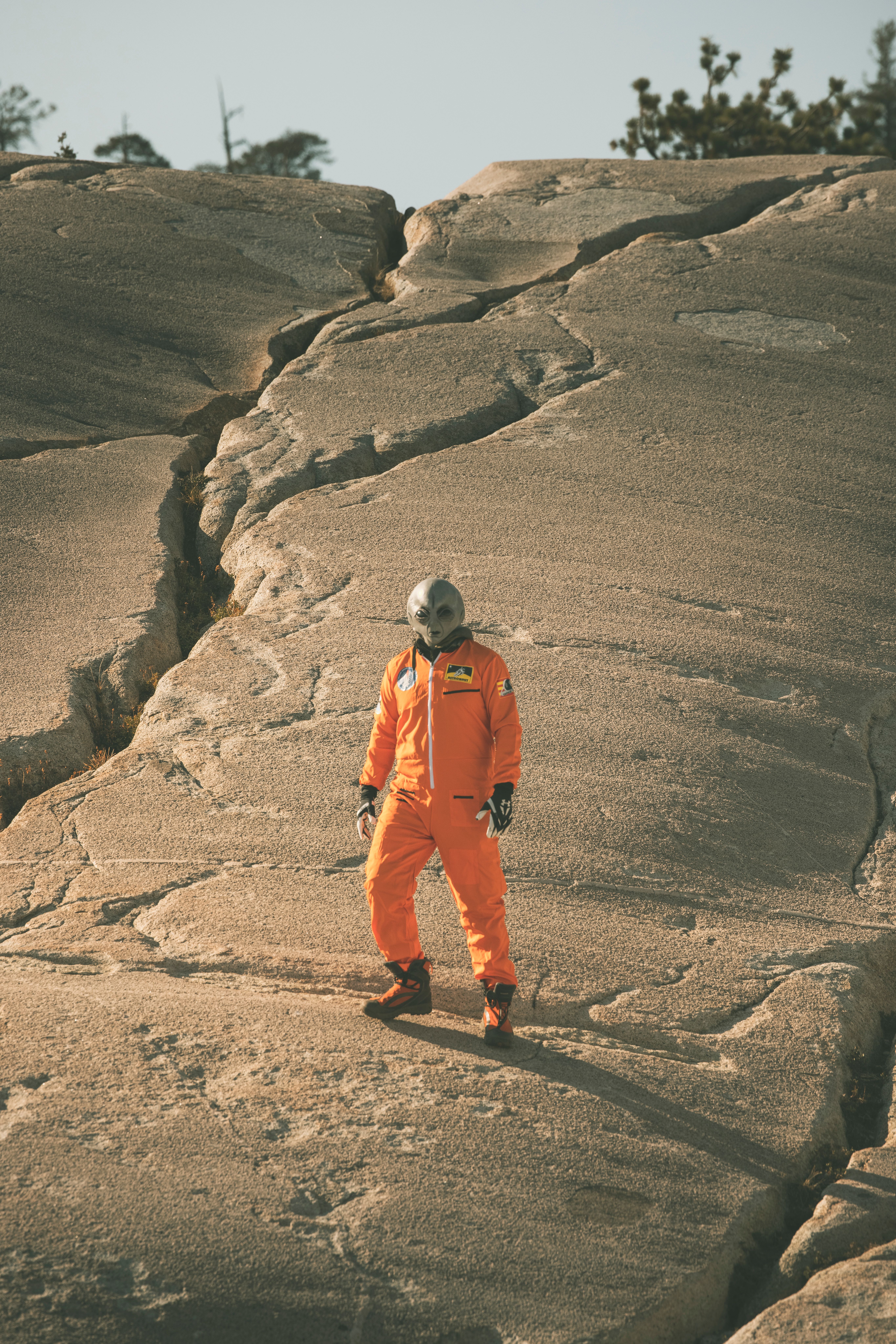 Person in an Alien Costume Standing on a Rocky Surface · Free Stock Photo