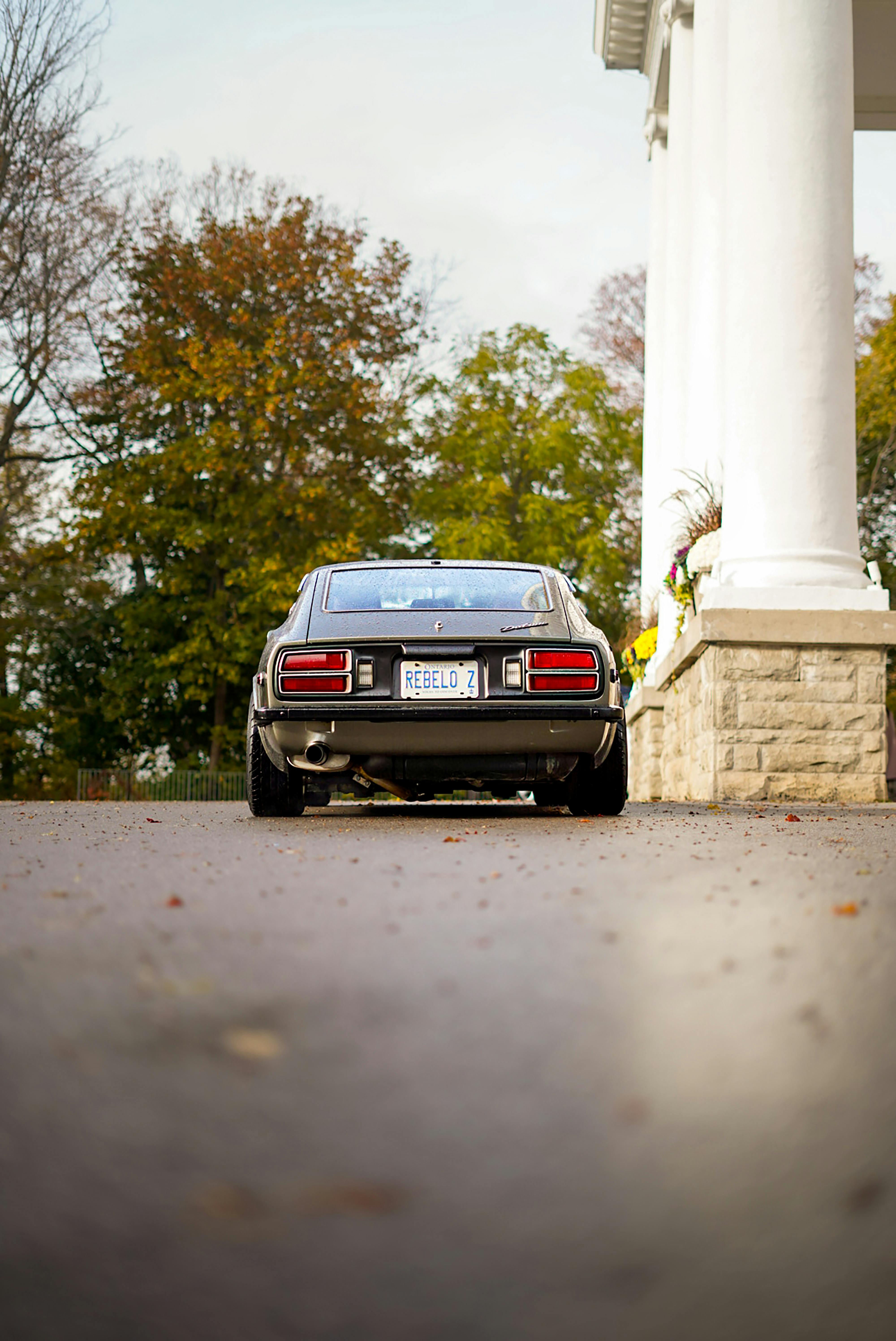 Silver Starlets Jess Photos, Download The BEST Free Silver Starlets ...