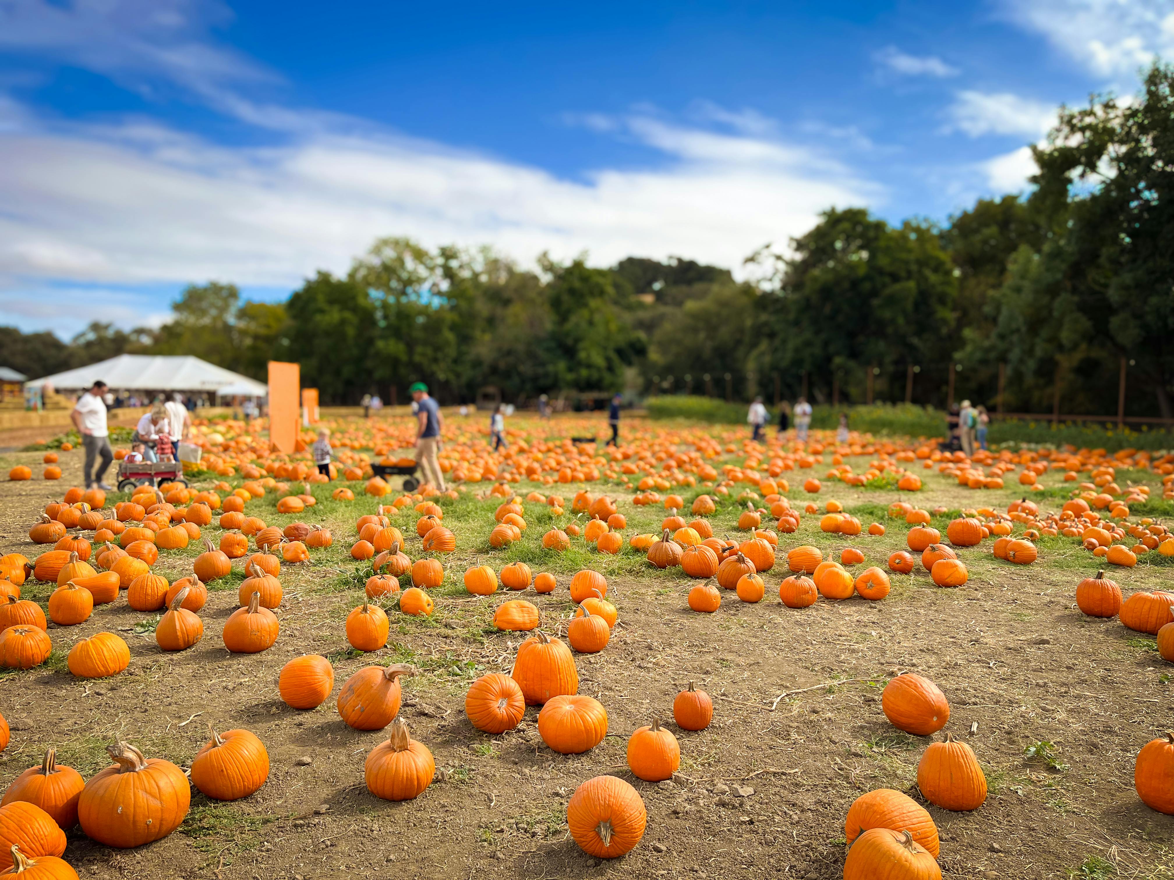 Lain Lee - Photography