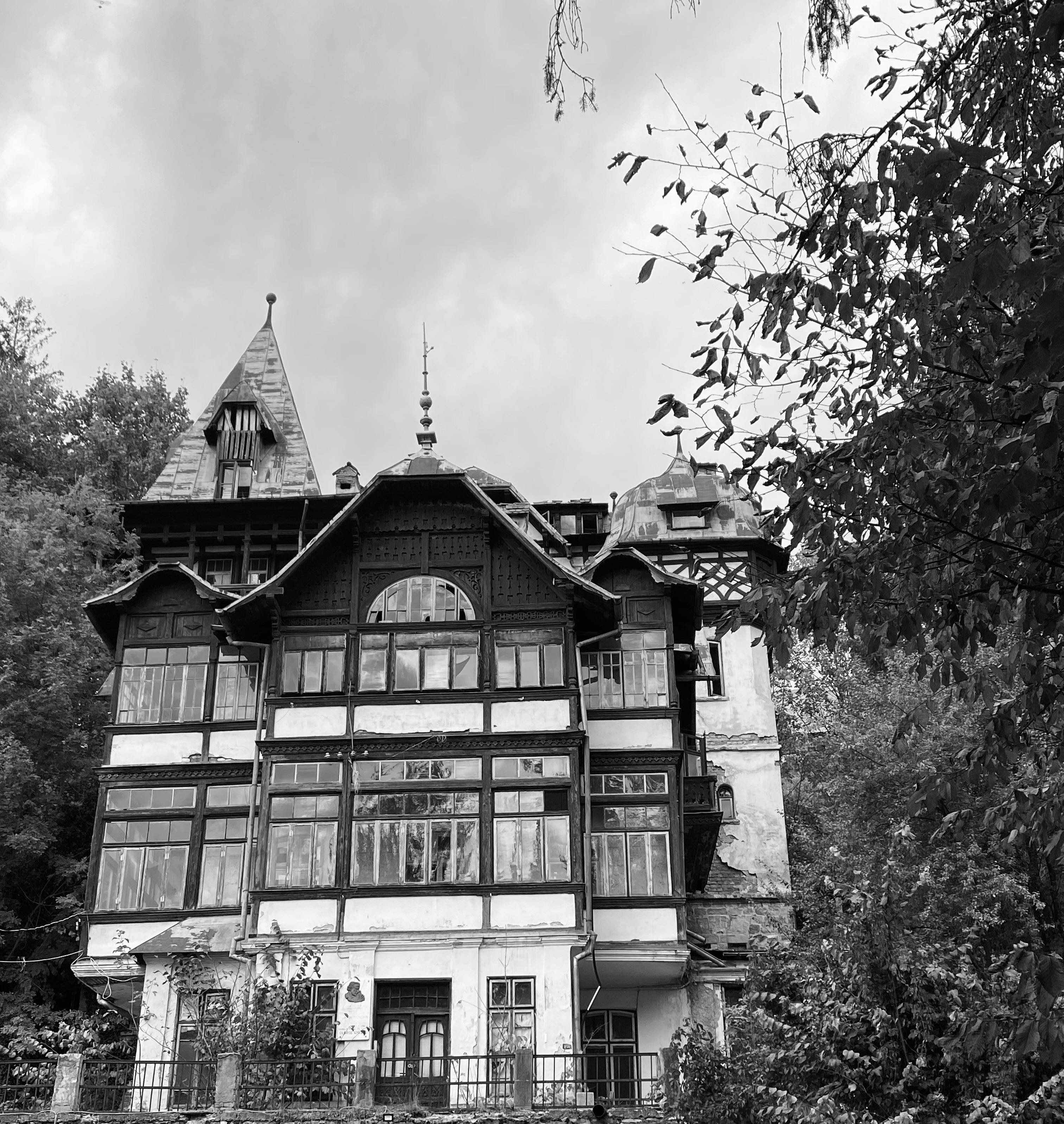 Mihaela David – Fotografia