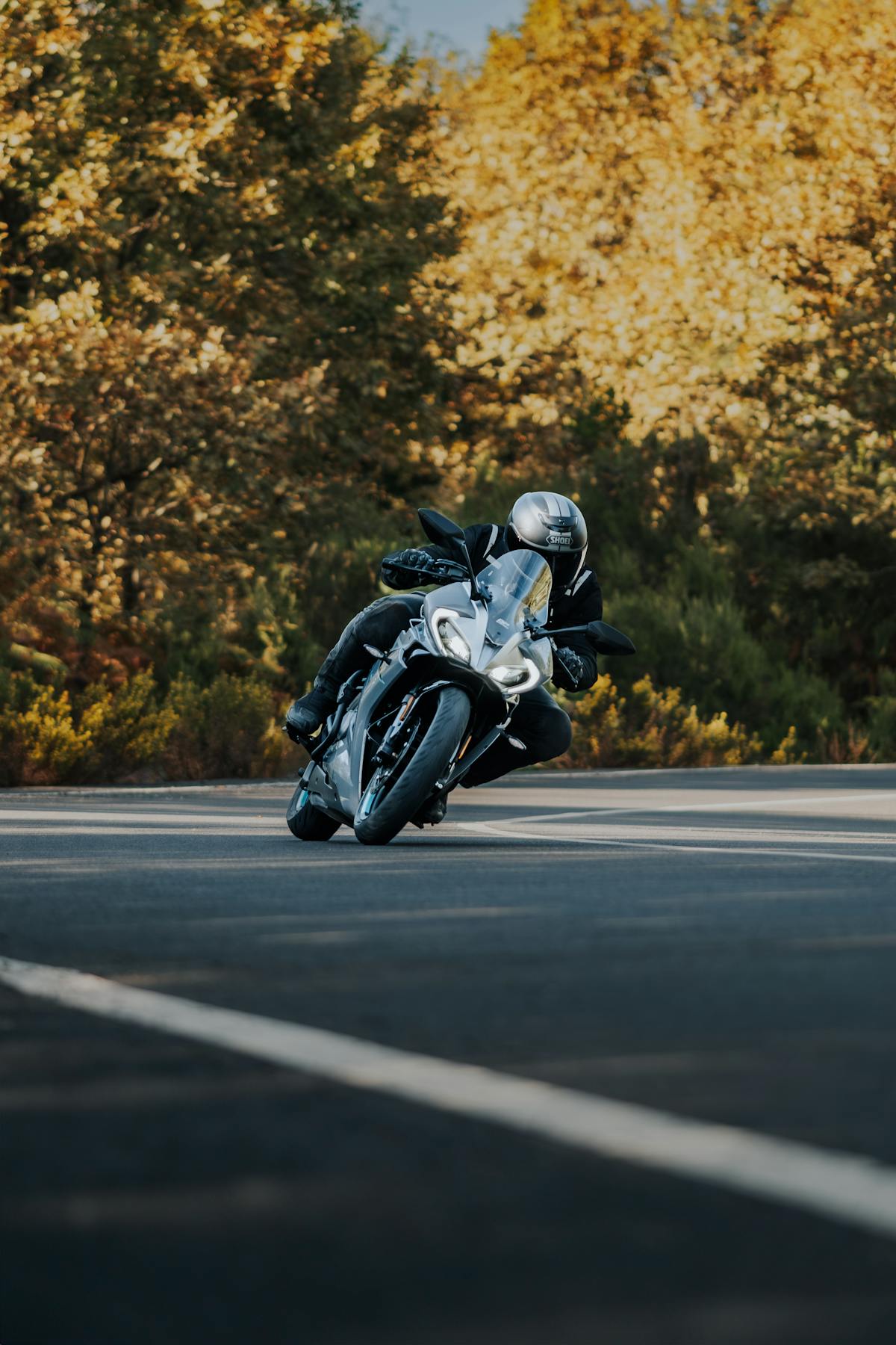 Autumn Motorcycle Photos, Download The BEST Free Autumn Motorcycle ...