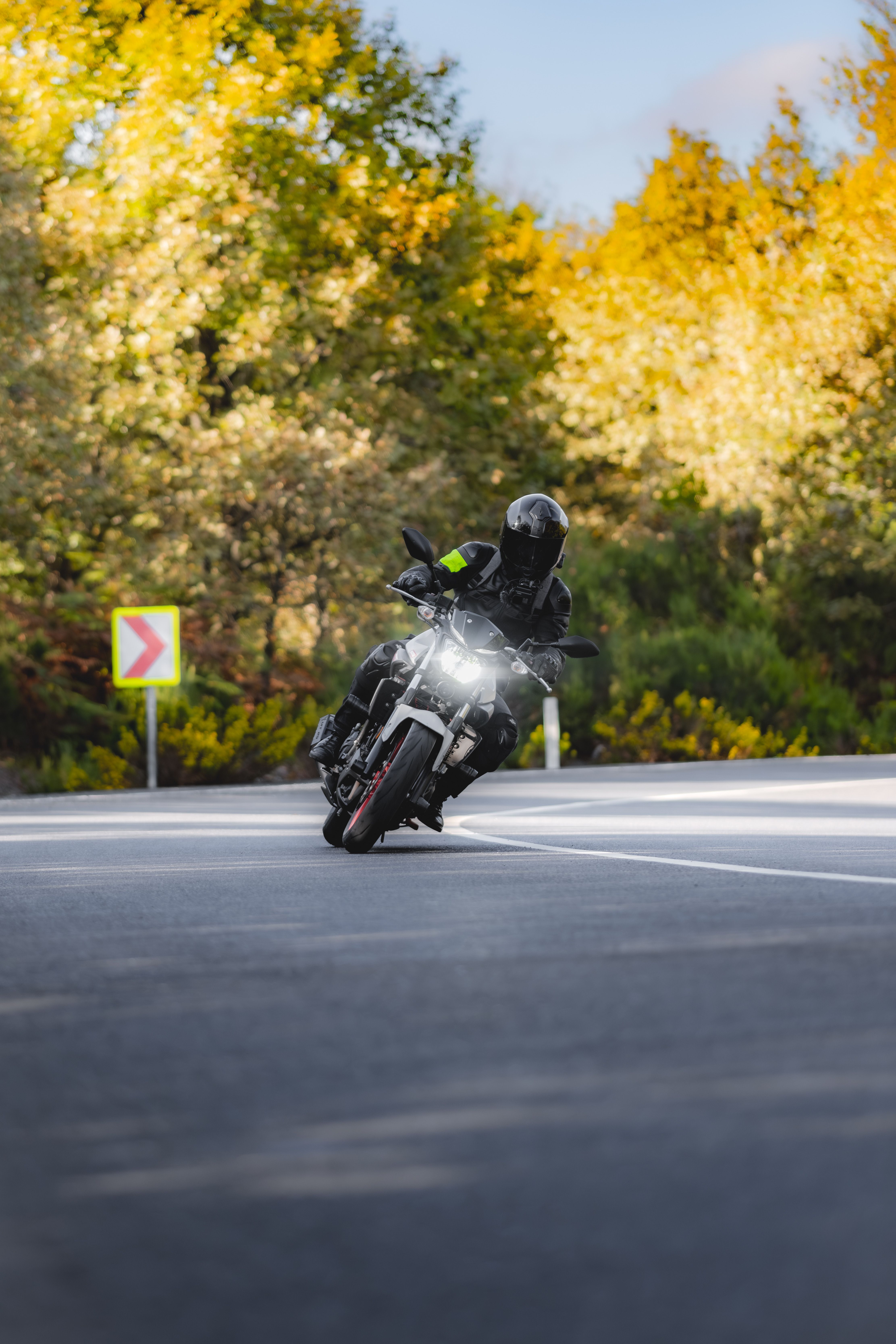 Person Riding a Motorcycle on Road Between Trees · Free Stock Photo