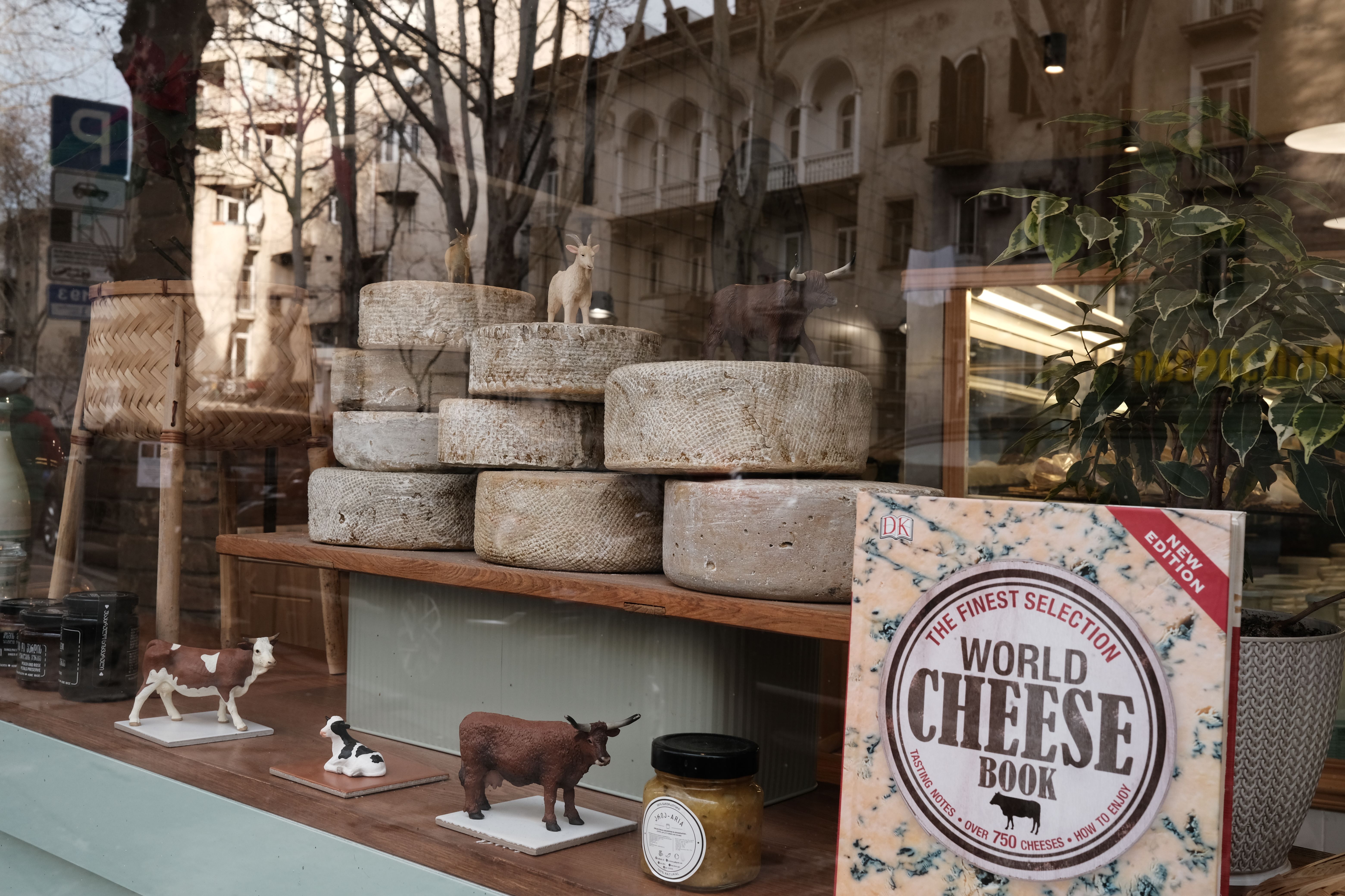 A window display with a display of cheese and other items · Free Stock ...