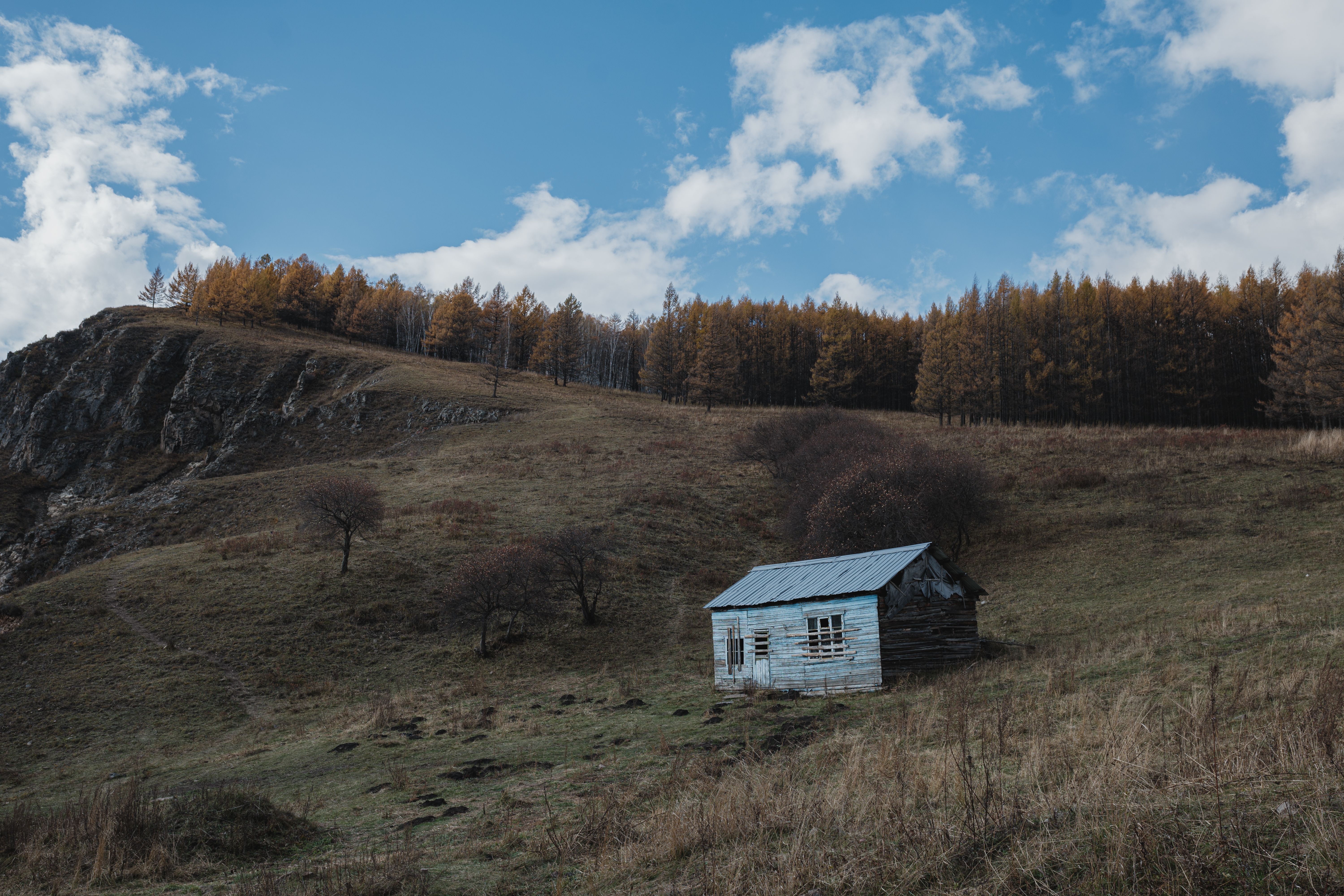 Wooden Hut on Hillside · Free Stock Photo