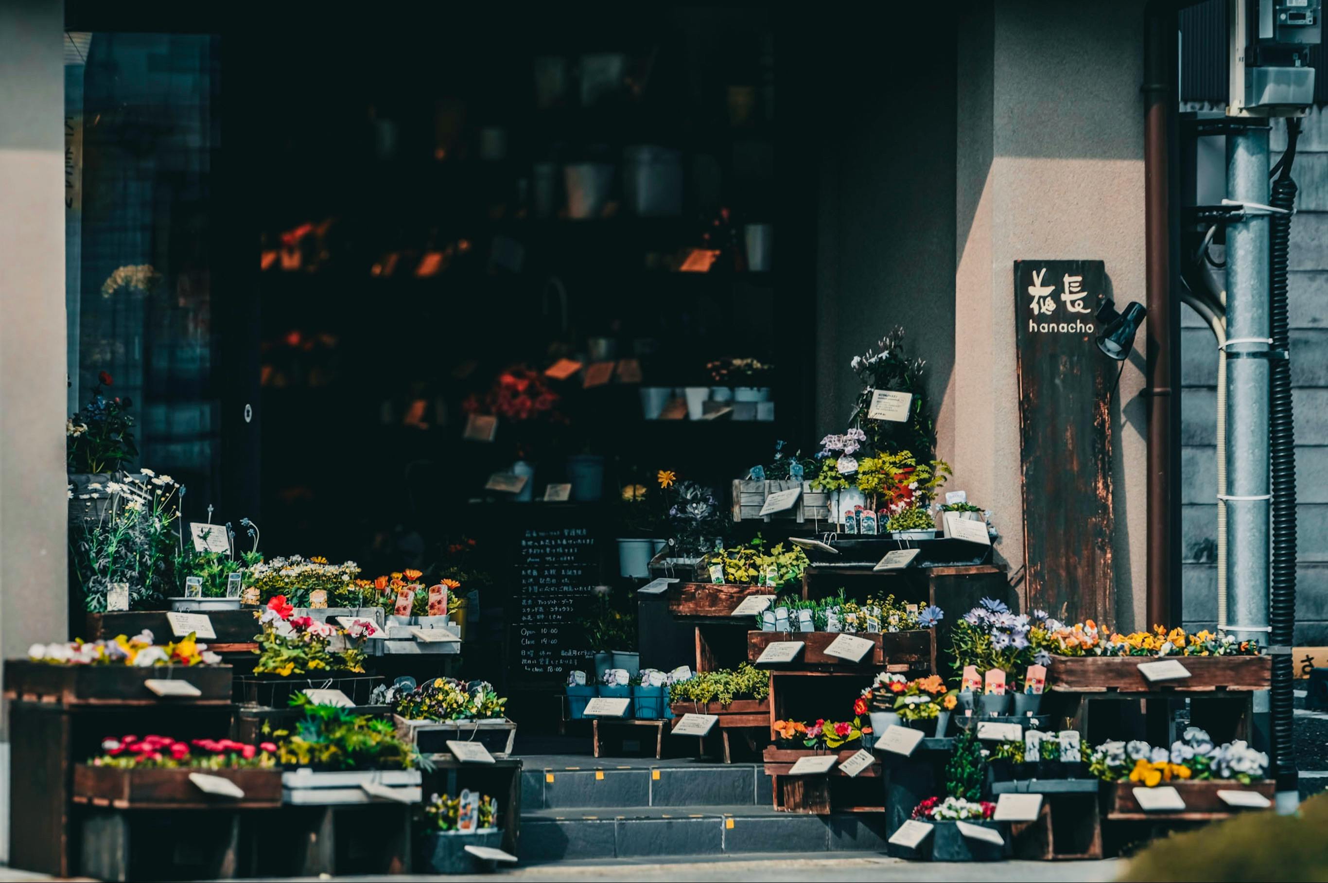 Kuan-yu Huang - 摄影