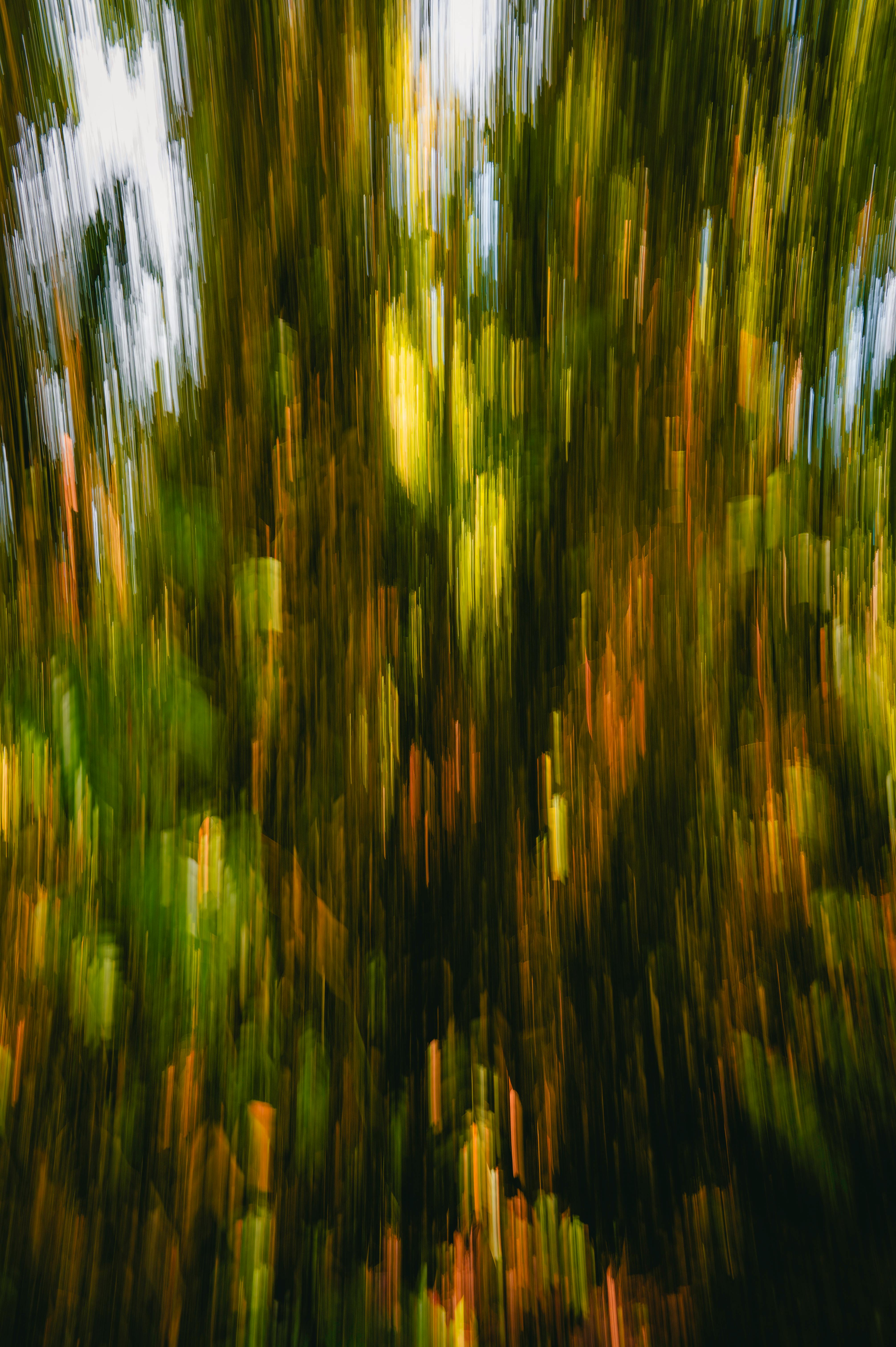 Green Abstract Motion Blur Texture · Free Stock Photo