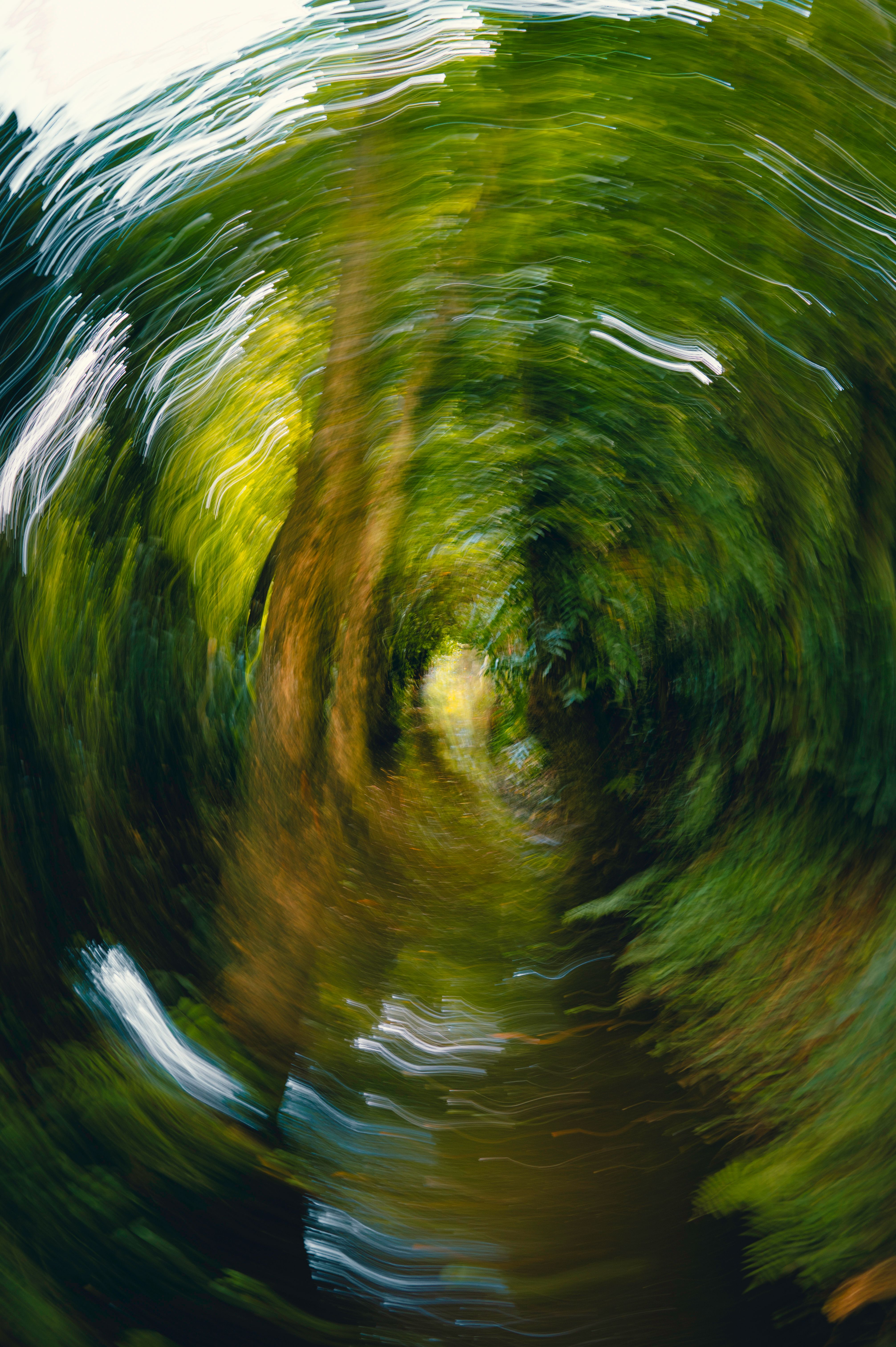 Photo gratuite de abstrait, arbres, artistique, beauté naturelle, bio ...