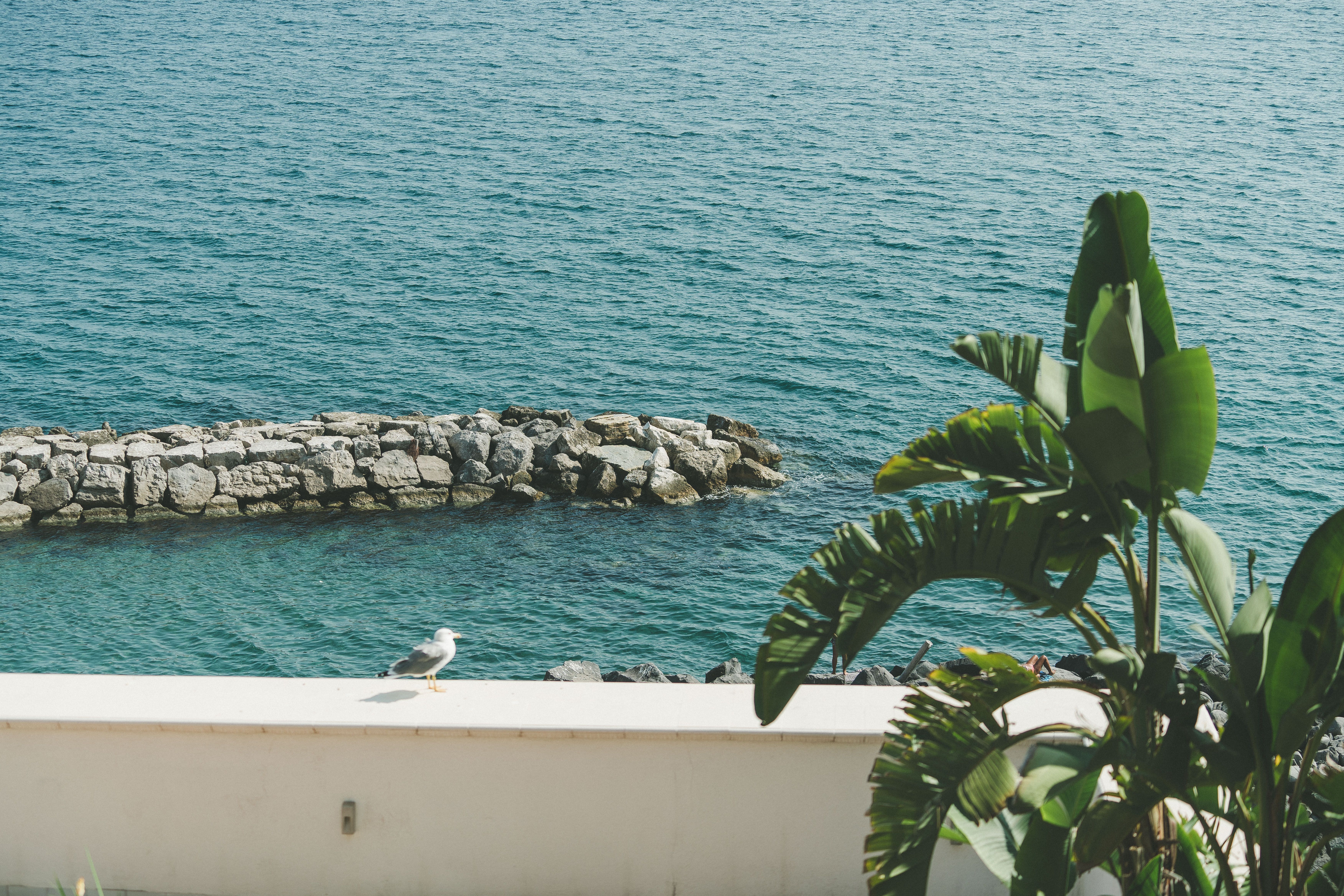 View of the Sea and Pier from a Terrace · Free Stock Photo