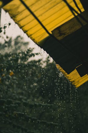 Falling Down Photos, Download The BEST Free Falling Down Stock Photos ...