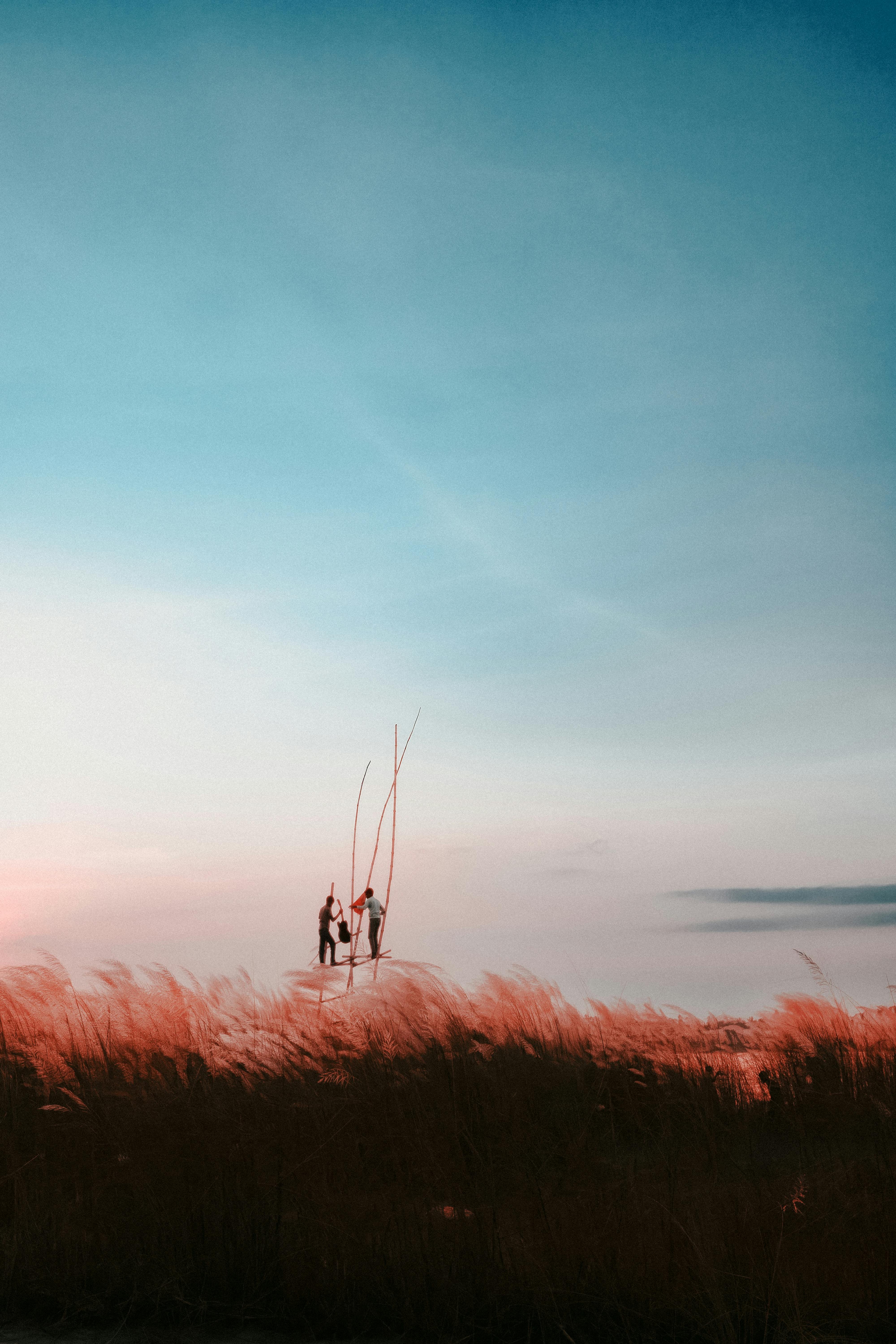 Silhouettes of People Standing over Tall Grass on Field · Free Stock Photo