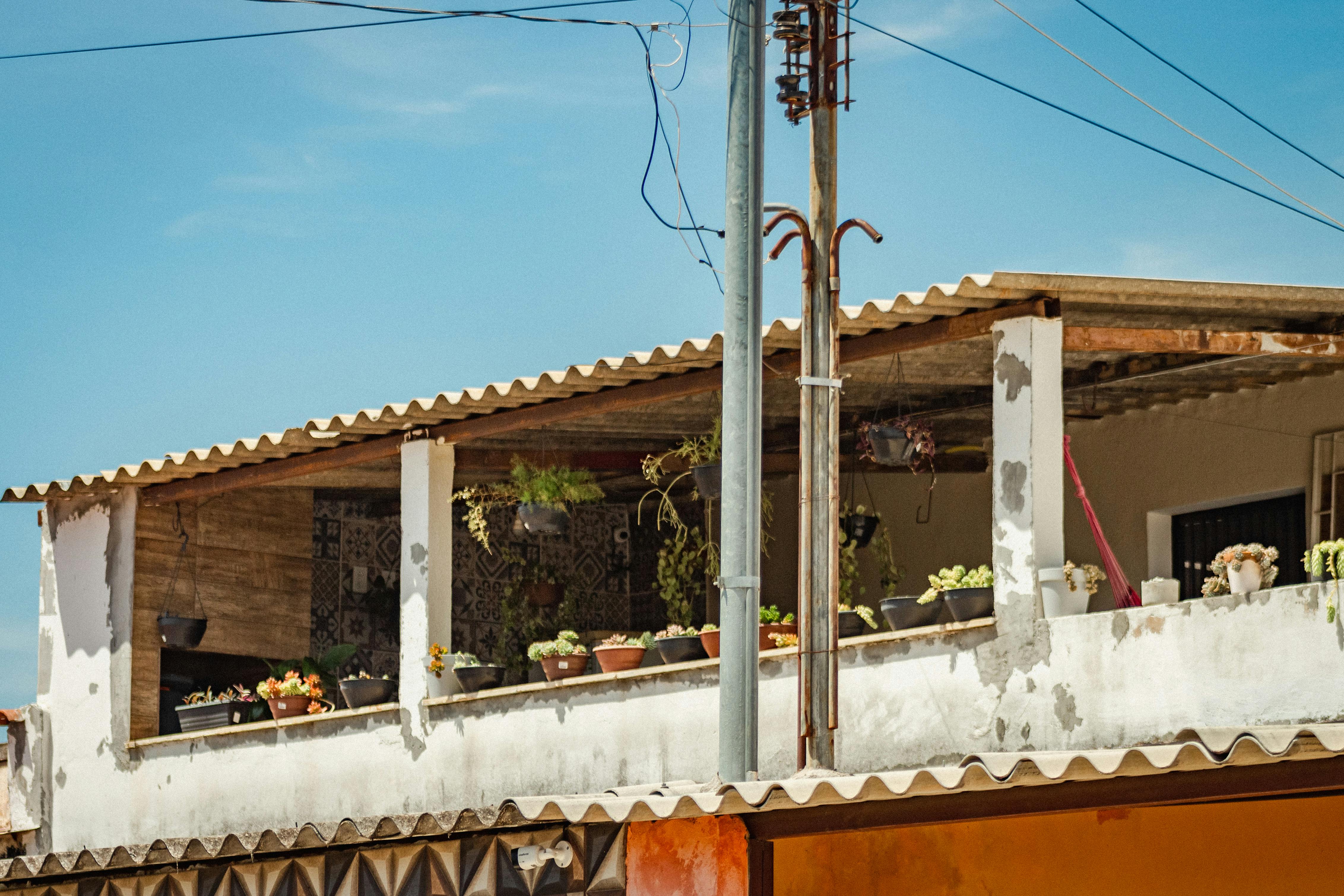 brazilian aesthetics · Free Stock Photo