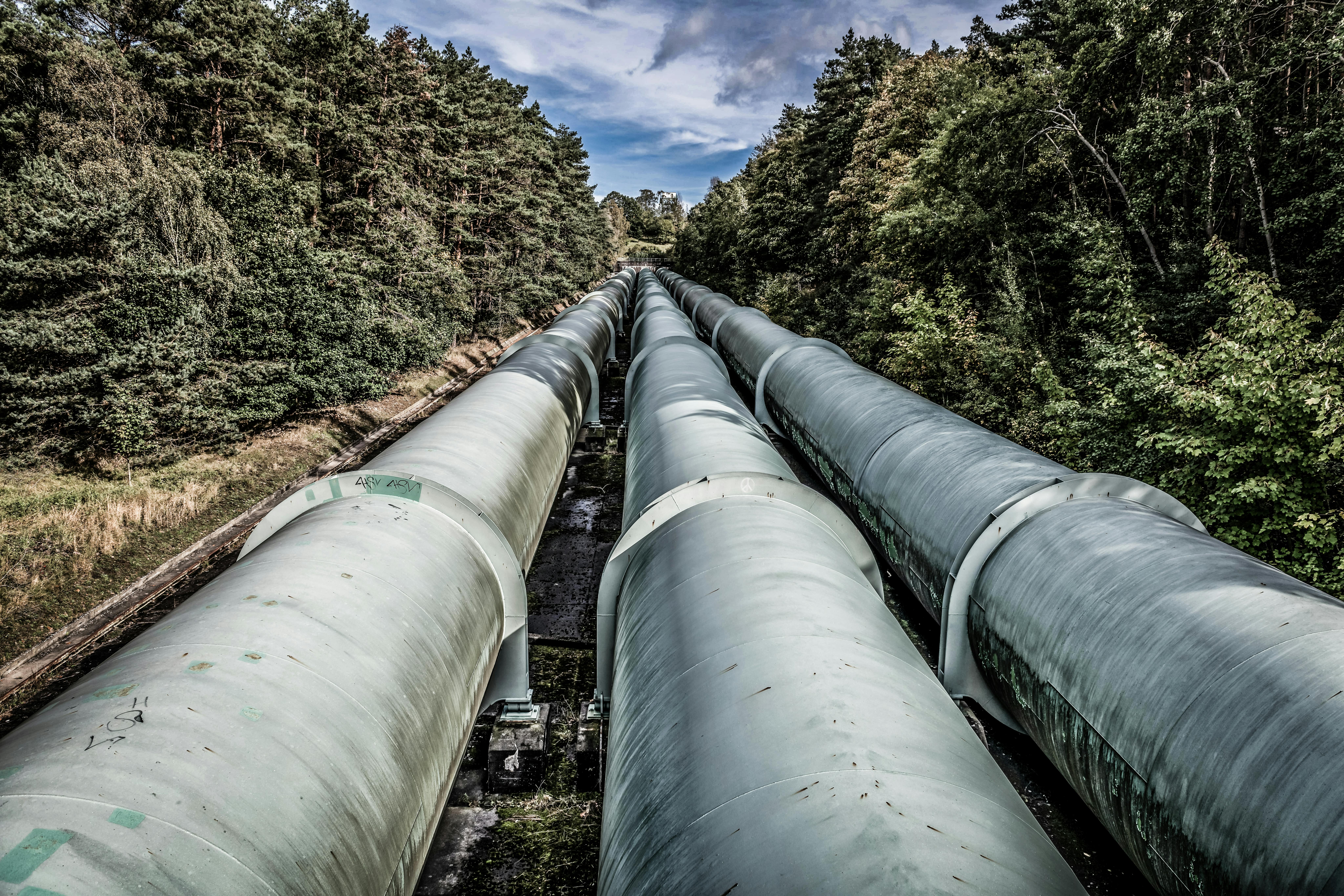View of Pipelines in a Forest · Free Stock Photo