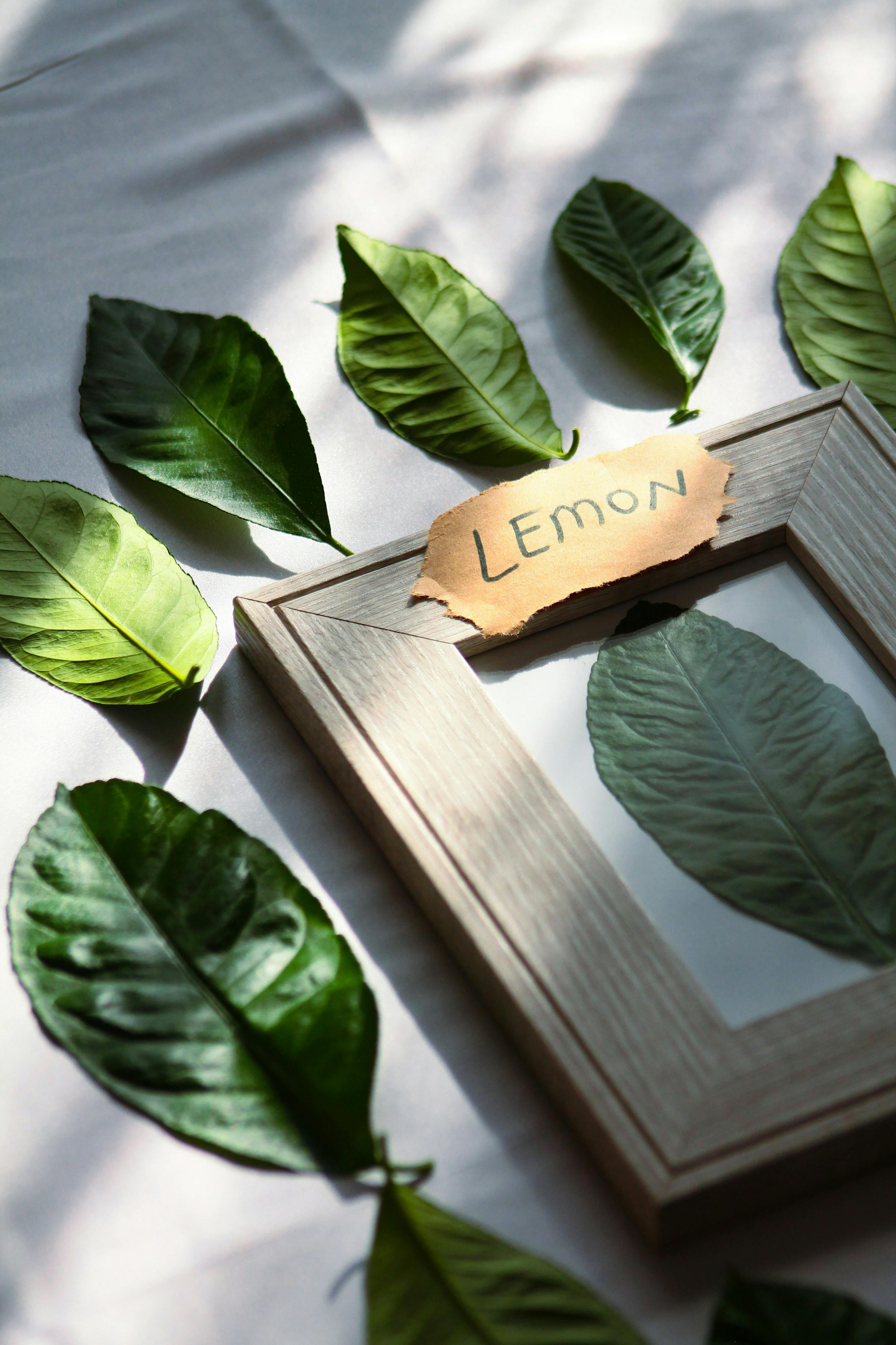 Pictures): Photos, Download The BEST Free Pictures): Stock Photos & HD ...