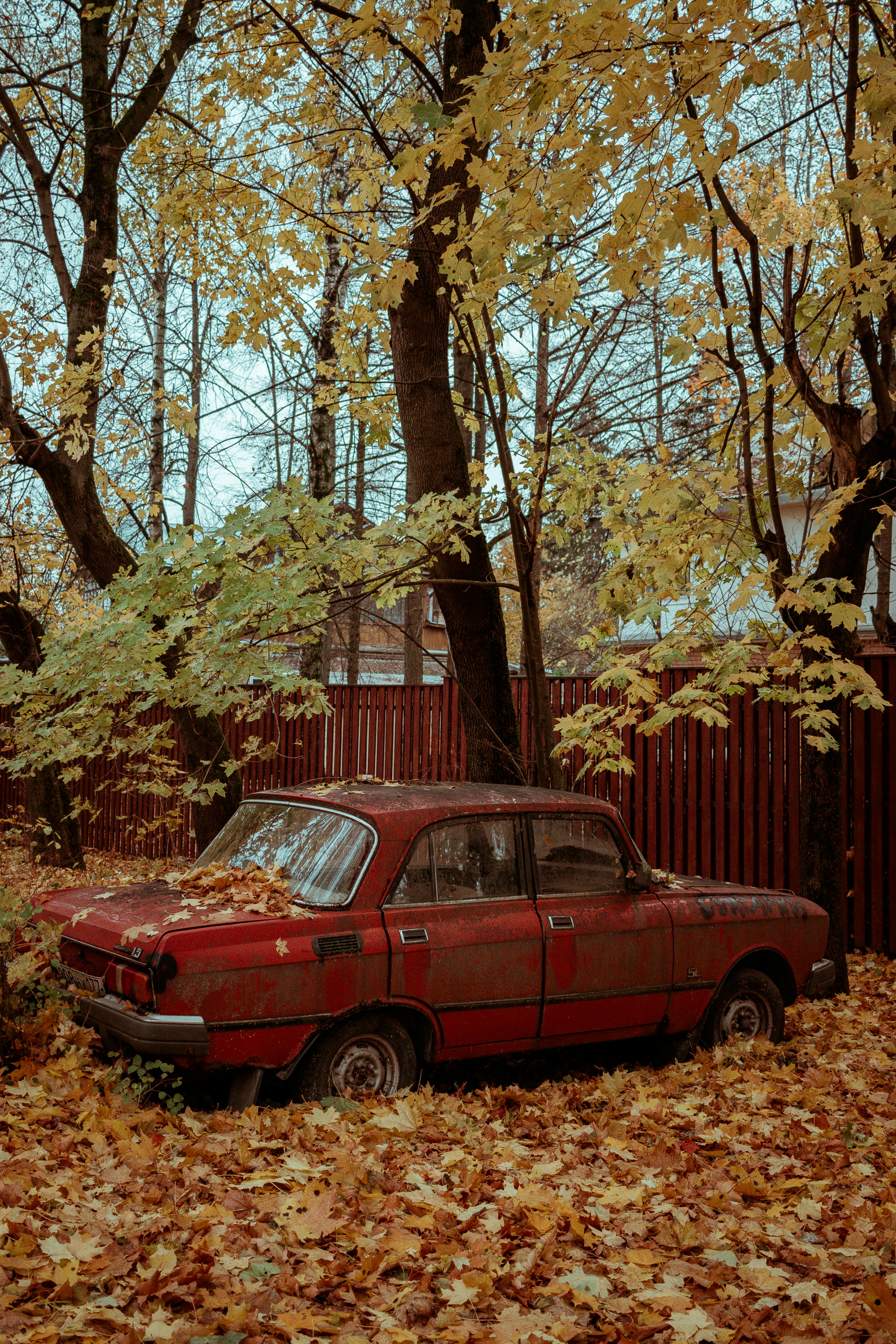 Red Car in a Forest in Fall · Free Stock Photo