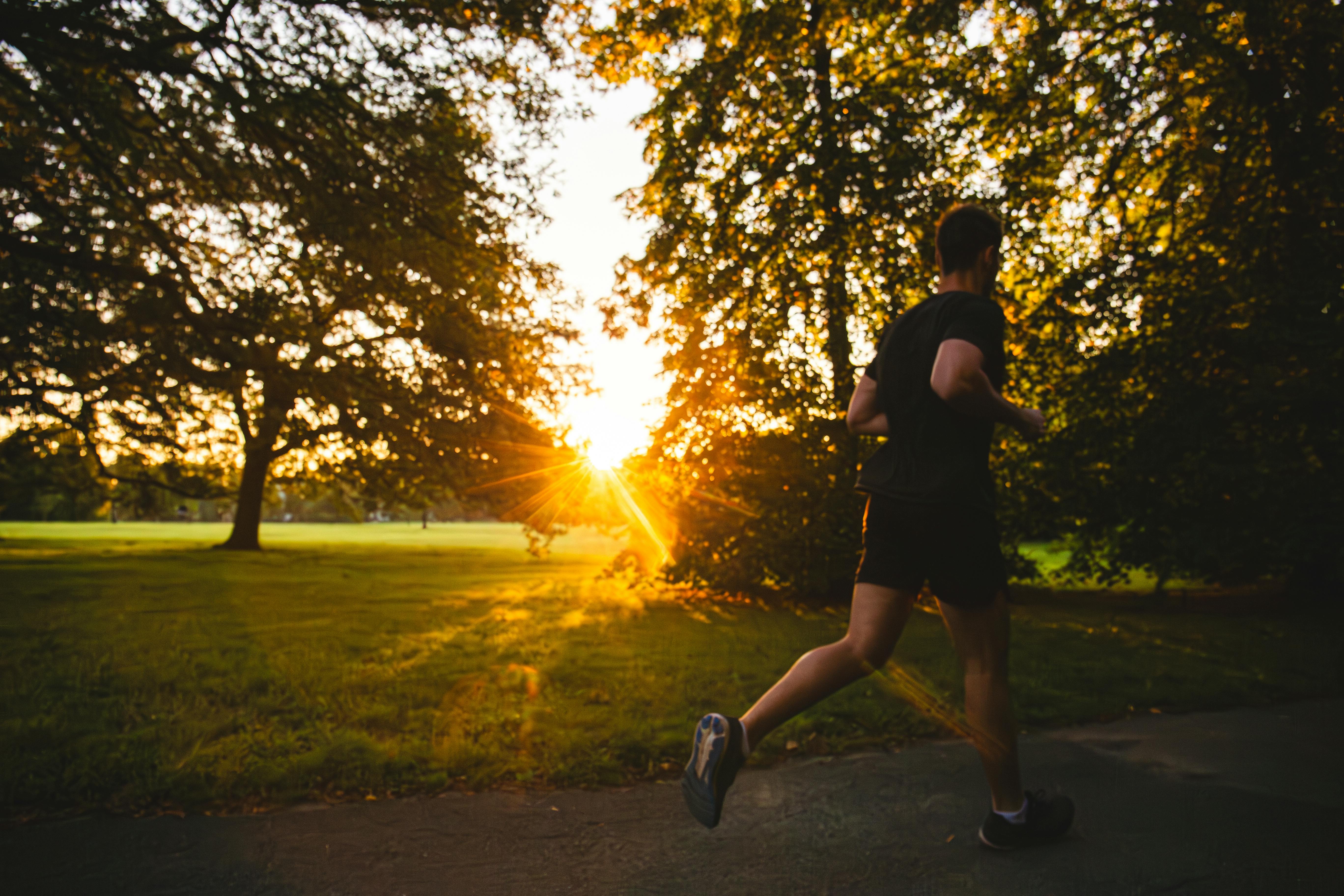 Cardio Health Photos, Download The BEST Free Cardio Health Stock Photos ...