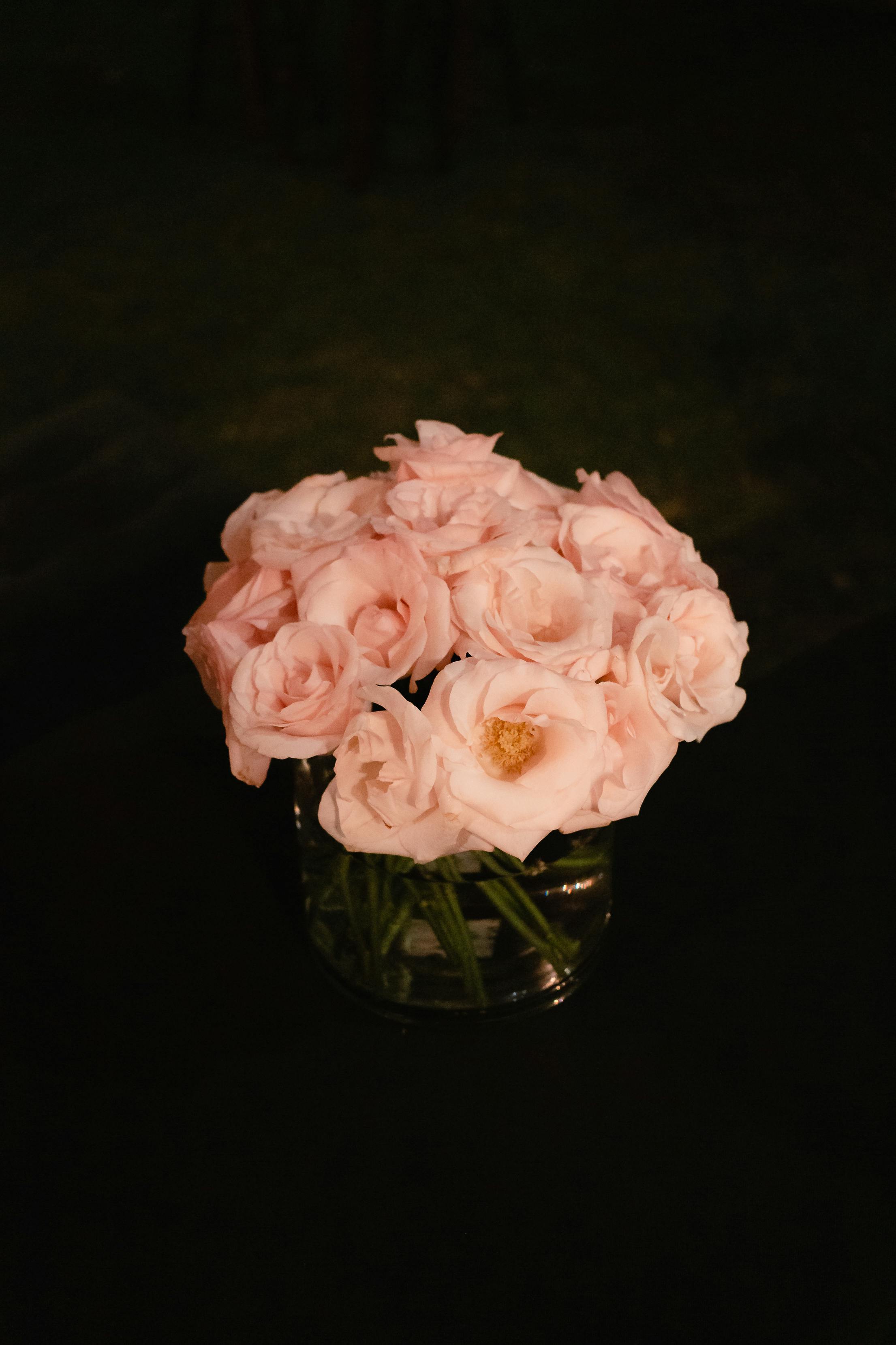Pink Roses in Clear Glass Vase · Free Stock Photo