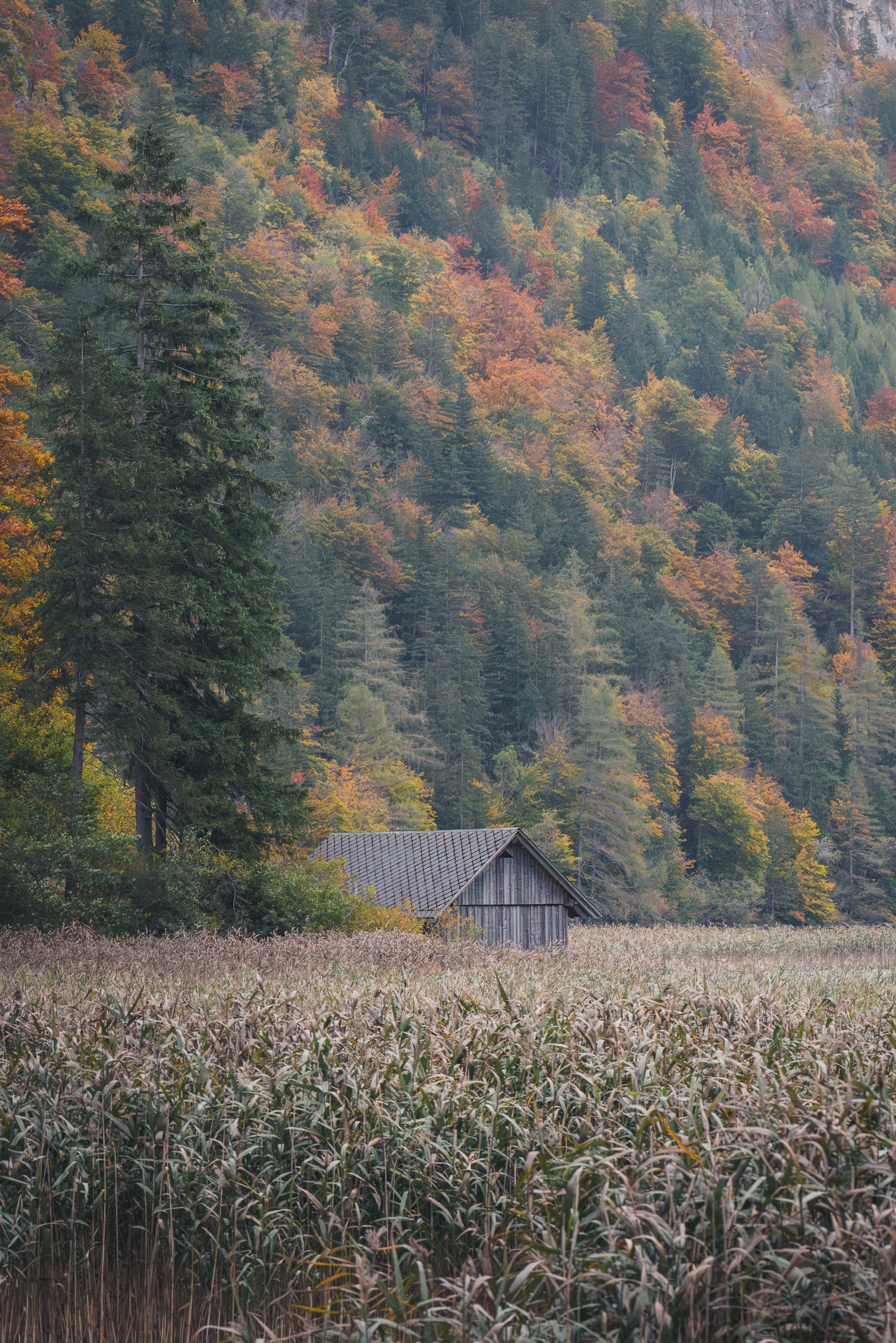 Autumn Barn Photos, Download The BEST Free Autumn Barn Stock Photos ...