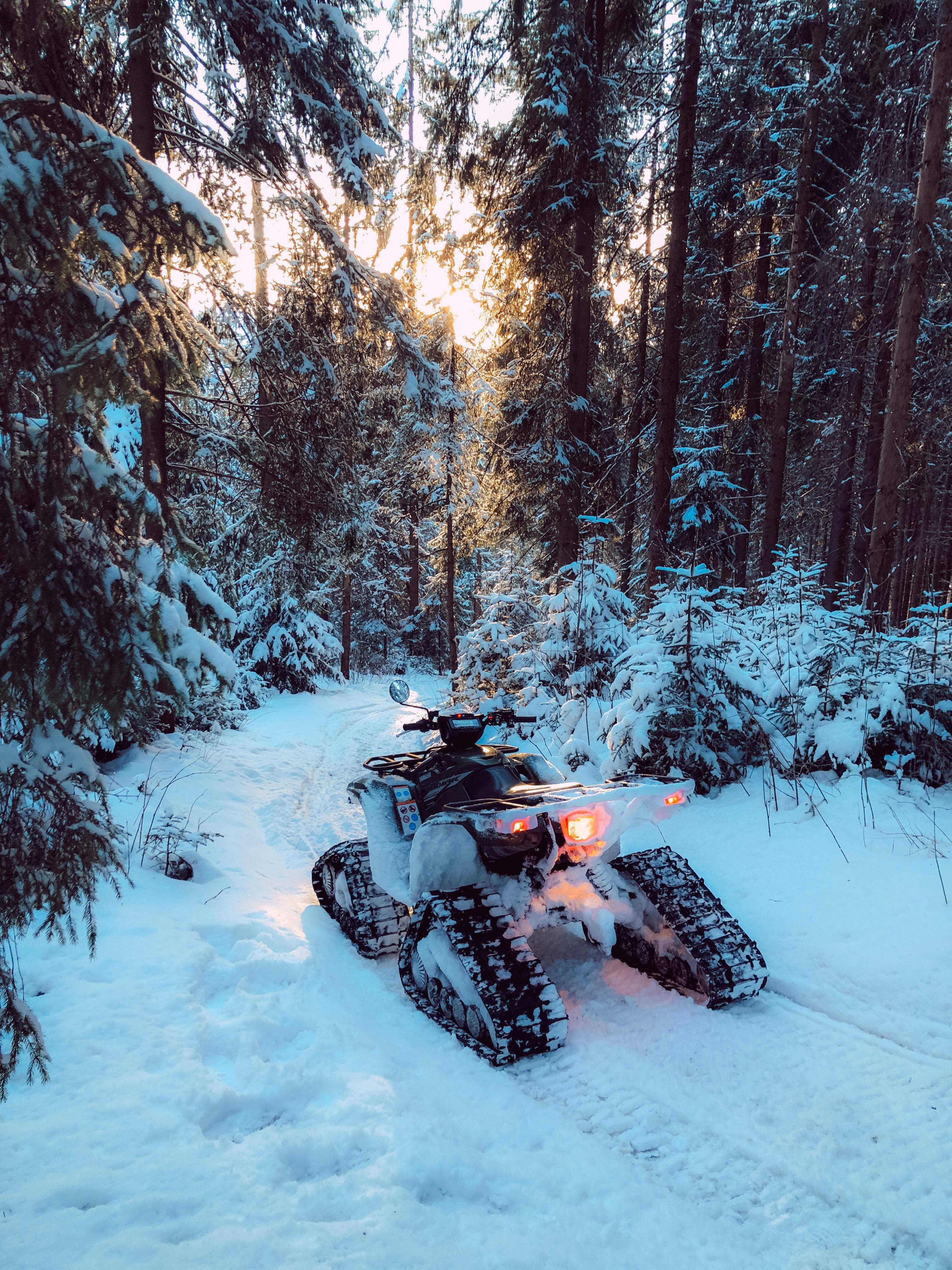 Tracked Quad Bike on a Snow Covered Road Through Coniferous Forest ...