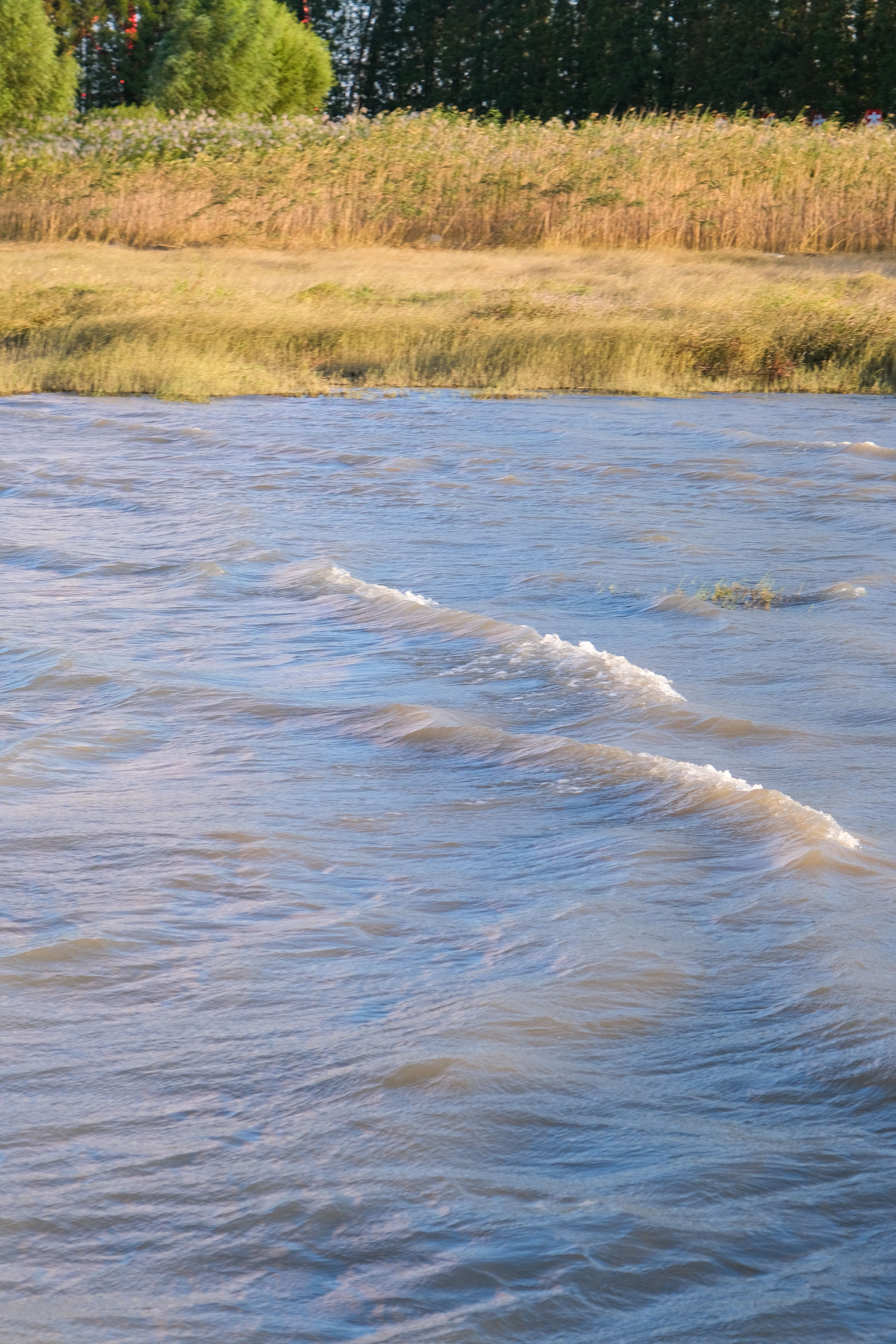 Waves on Lake · Free Stock Photo
