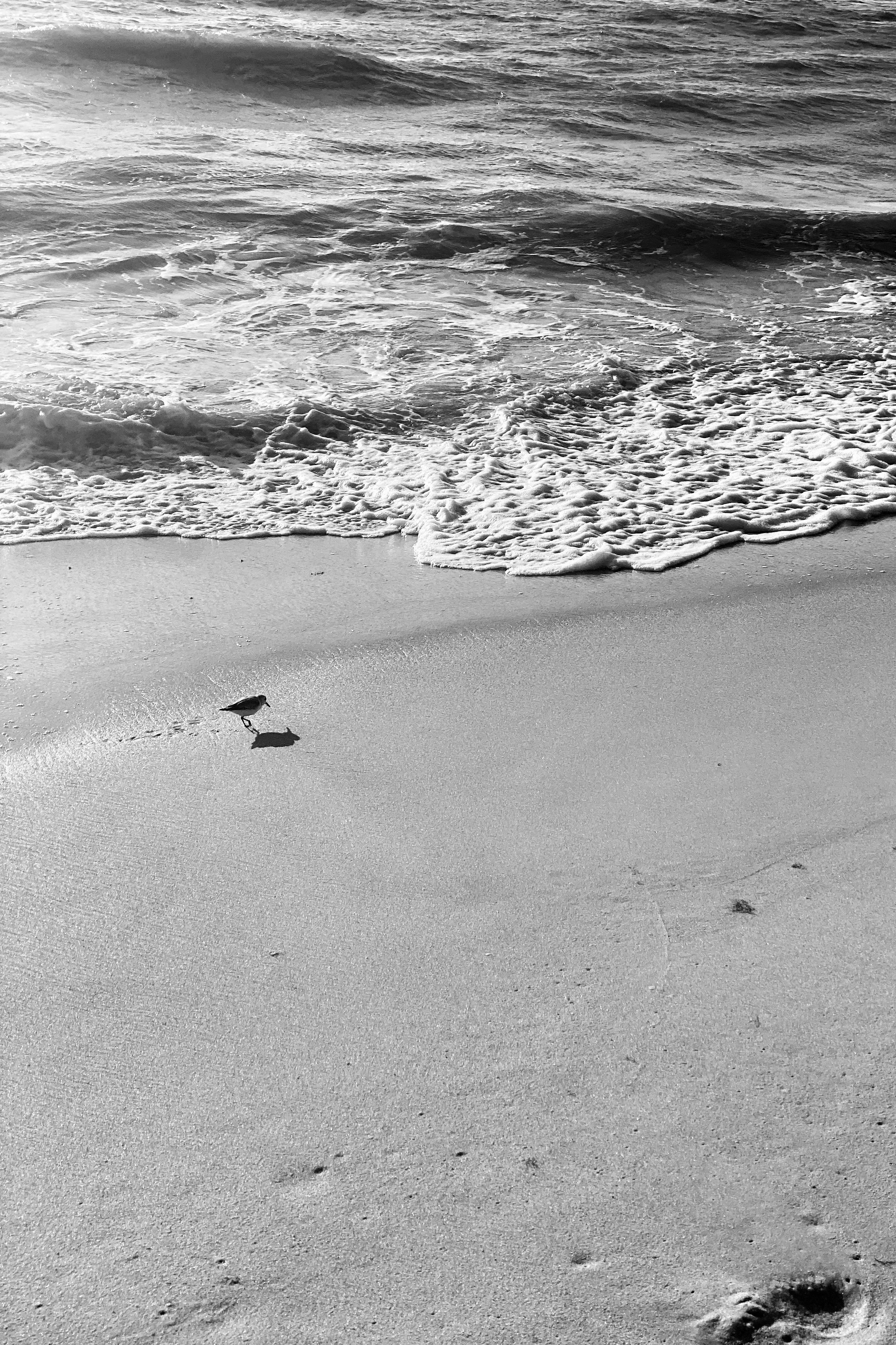 Grayscale Photo of Person Walking on Beach · Free Stock Photo