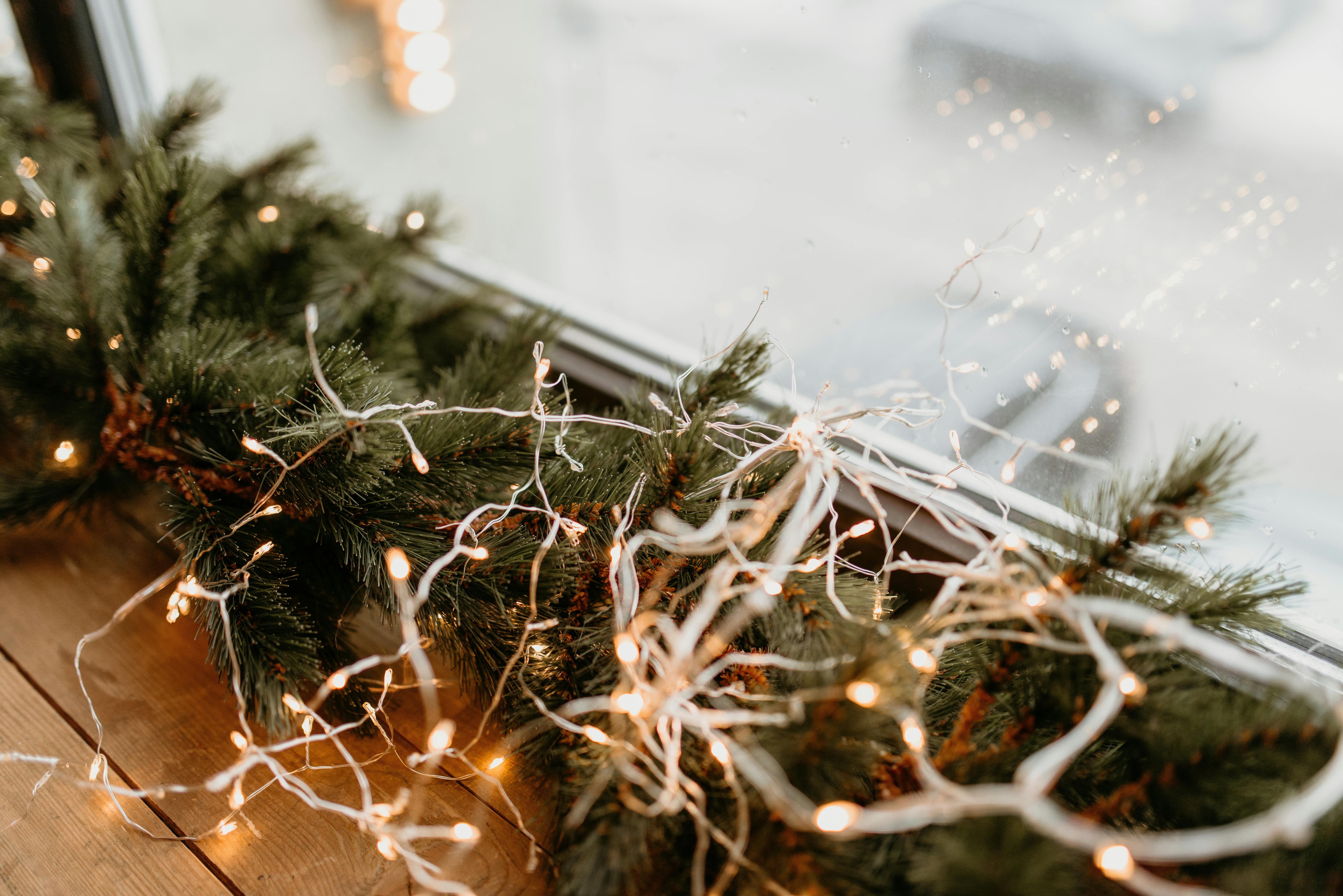 Shallow Focus Photography of String Lights · Free Stock Photo
