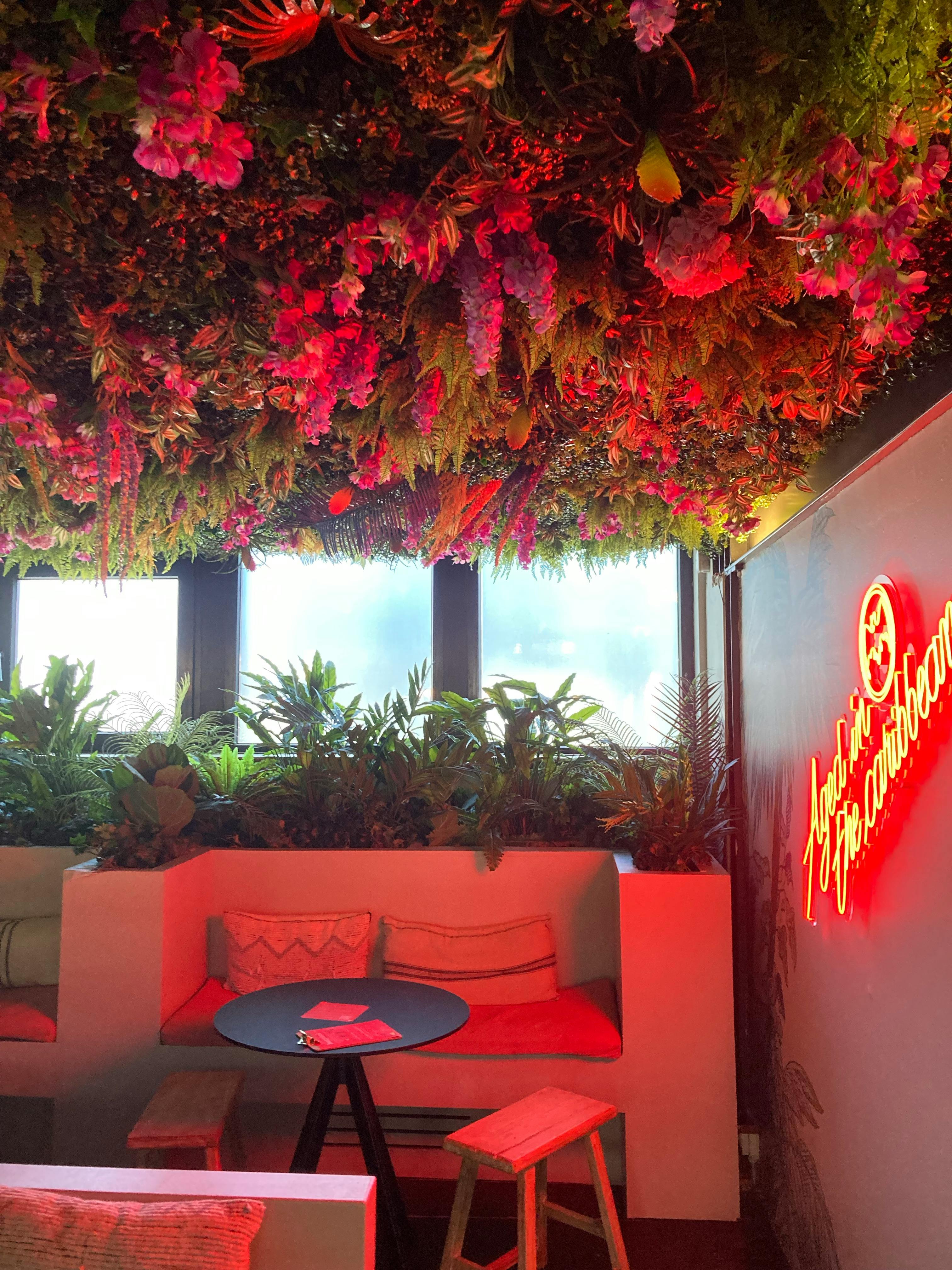 Katoo Roofthooft - Fotografía