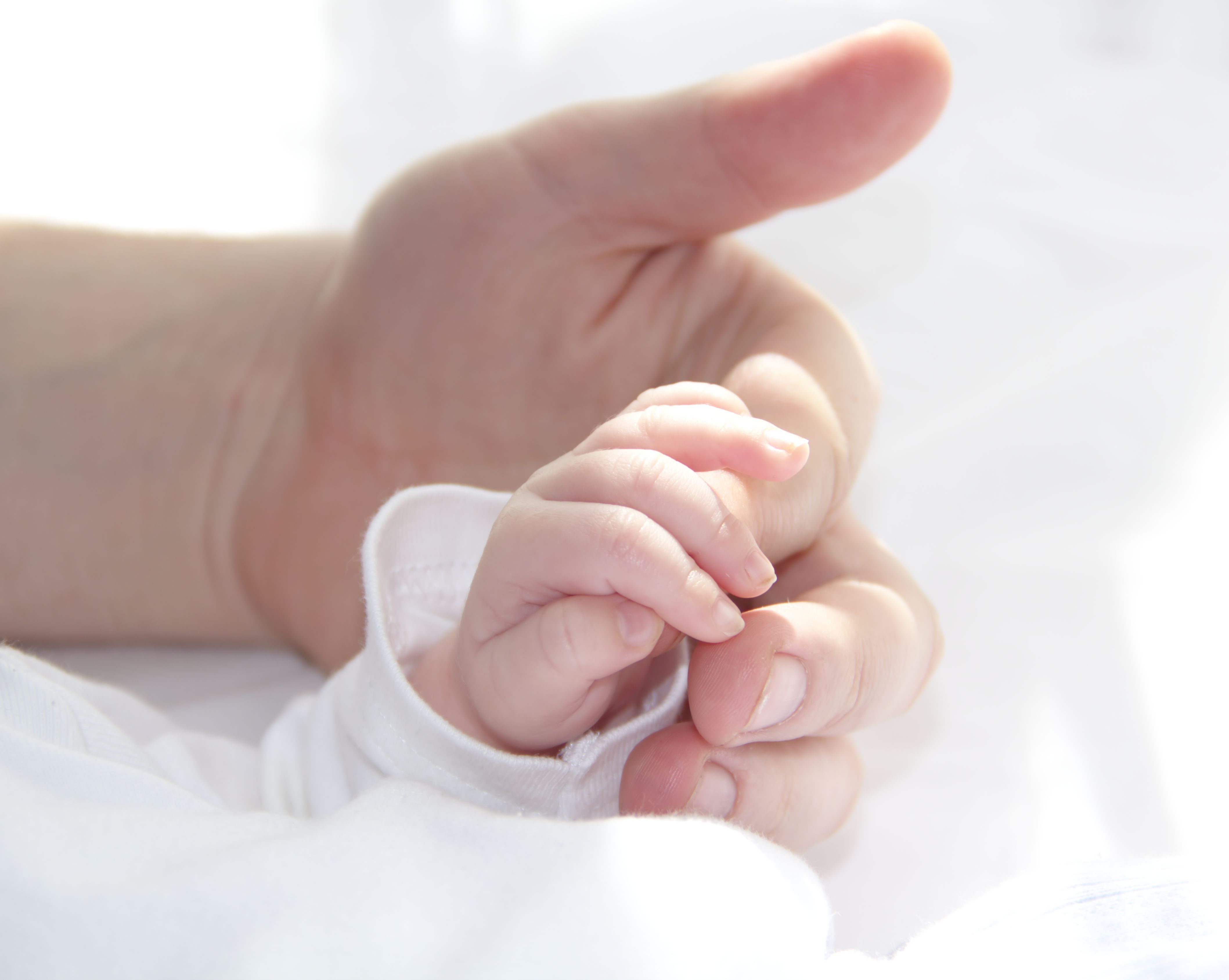 Hands of father and baby · Free Stock Photo