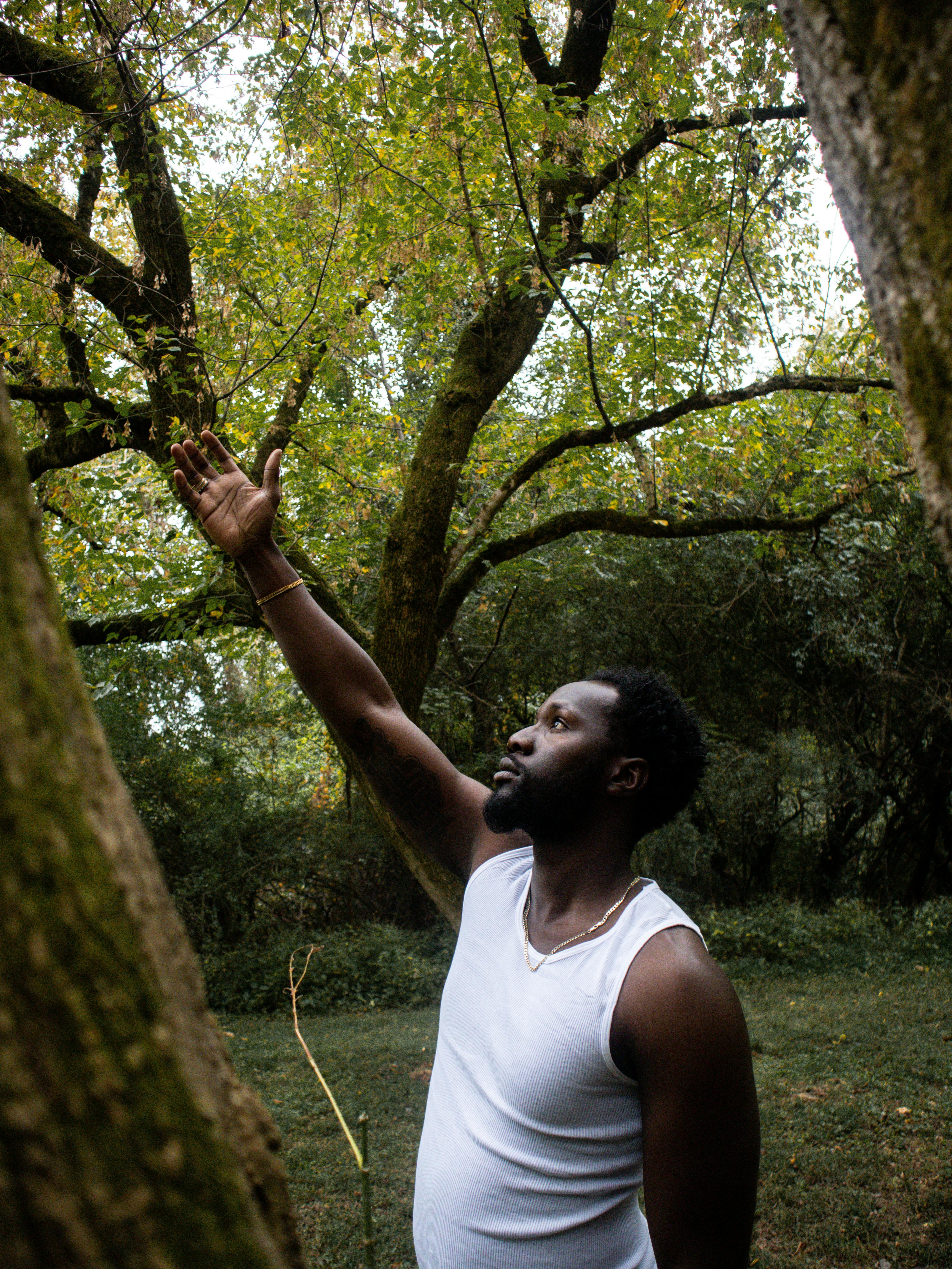 A man reaching up to the sky in front of a tree · Free Stock Photo