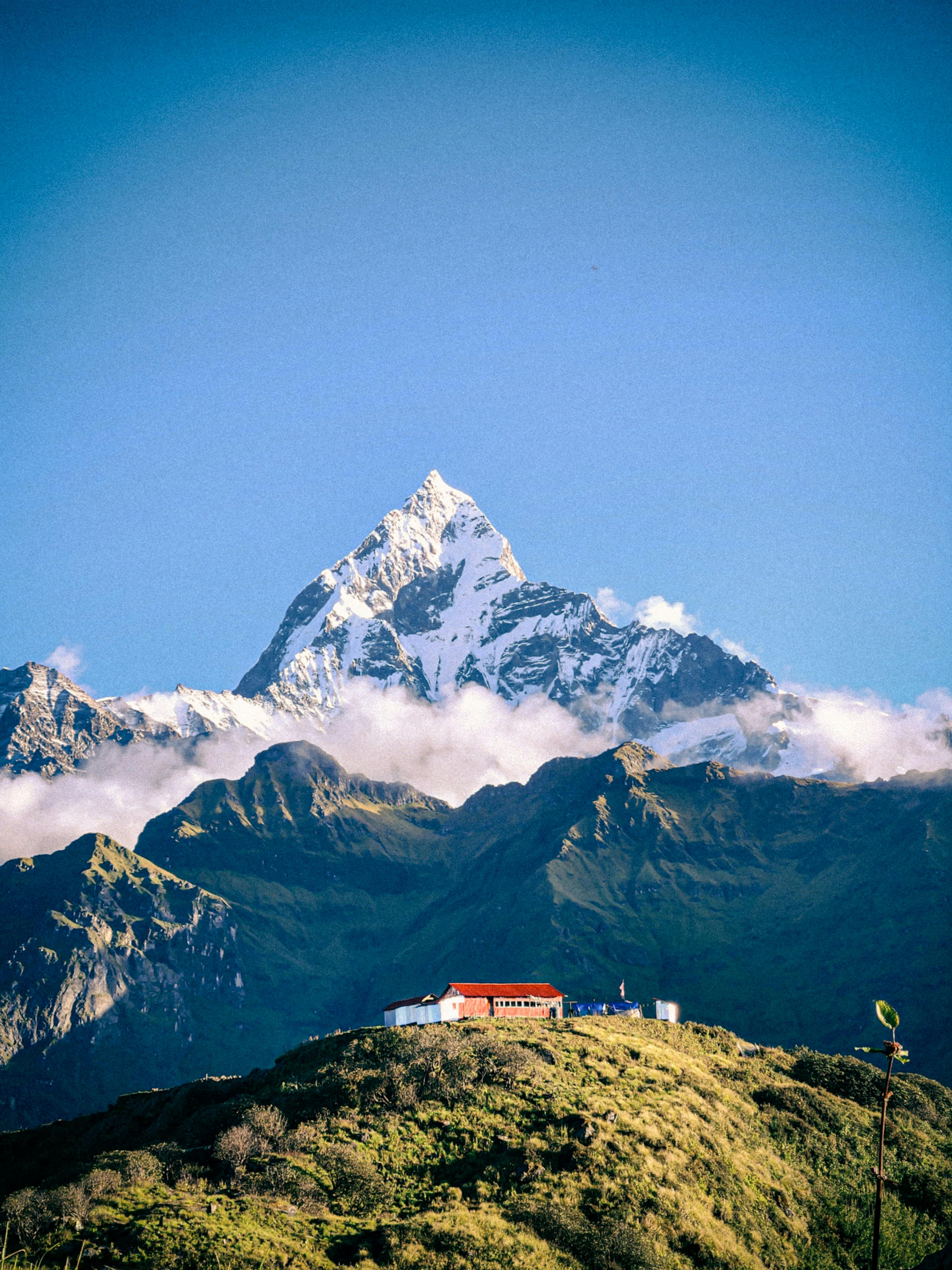 Refuge Photos, Download The BEST Free Refuge Stock Photos & HD Images