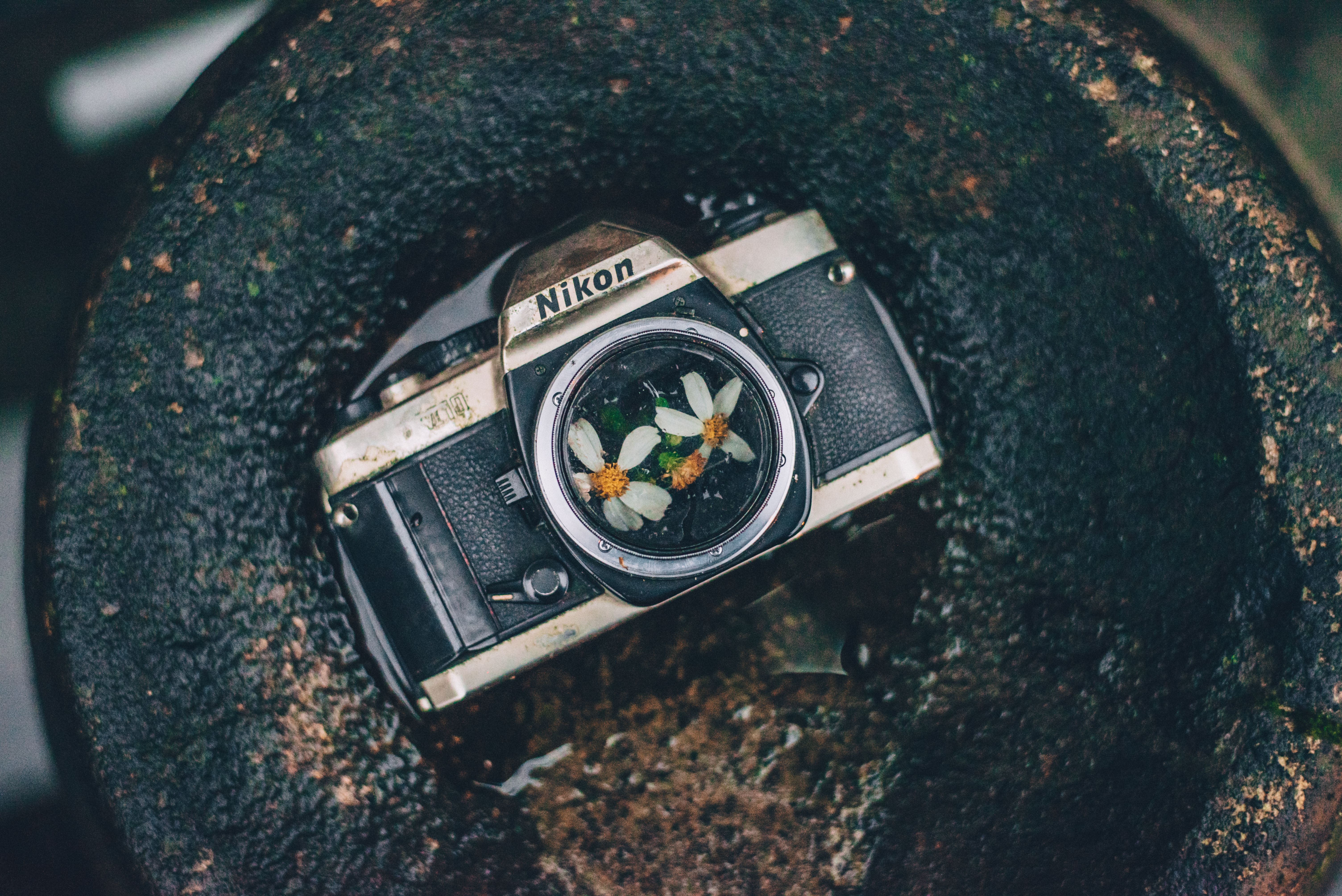 An Old Film Camera with Flowers in the Lens · Free Stock Photo