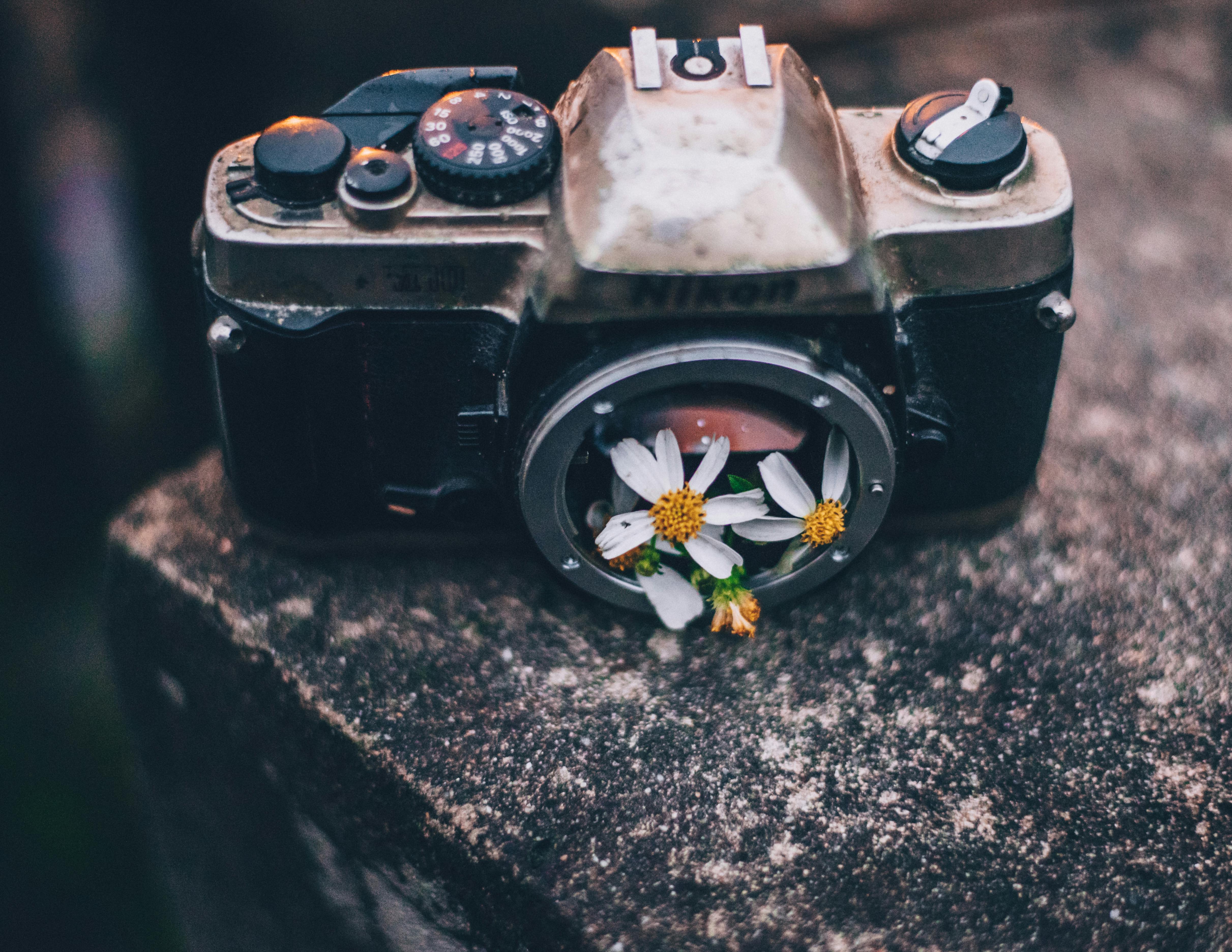 An Old Film Camera with Flowers in the Lens · Free Stock Photo