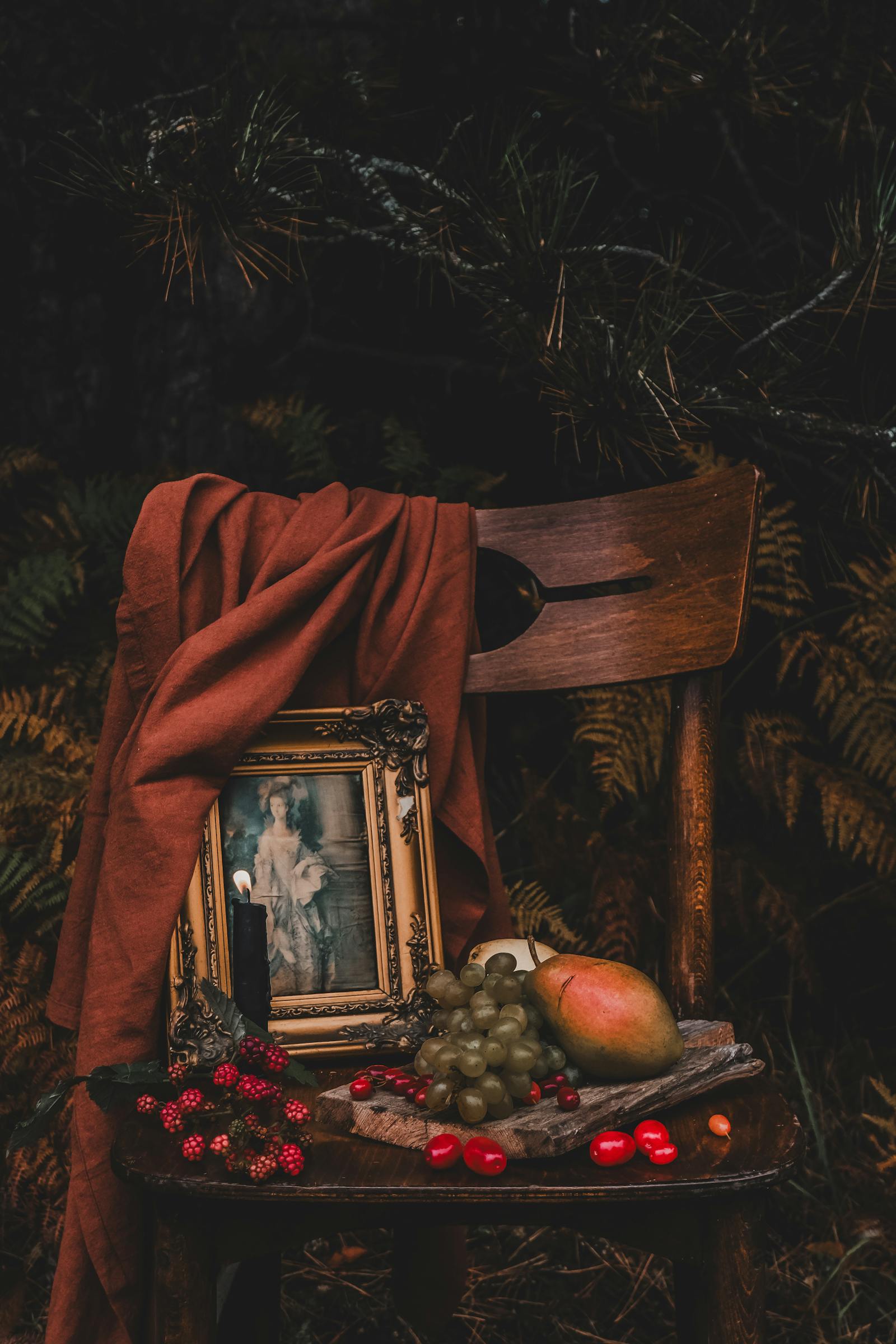 Mango Picture Photos, Download The BEST Free Mango Picture Stock Photos ...